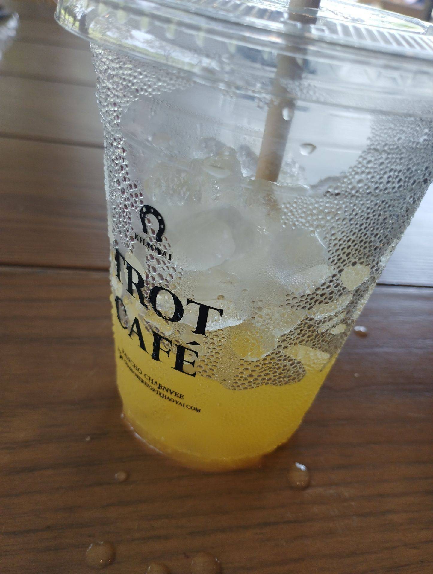 รีวิว Trot Cafe,Khaoyai - เครื่องดื่ม