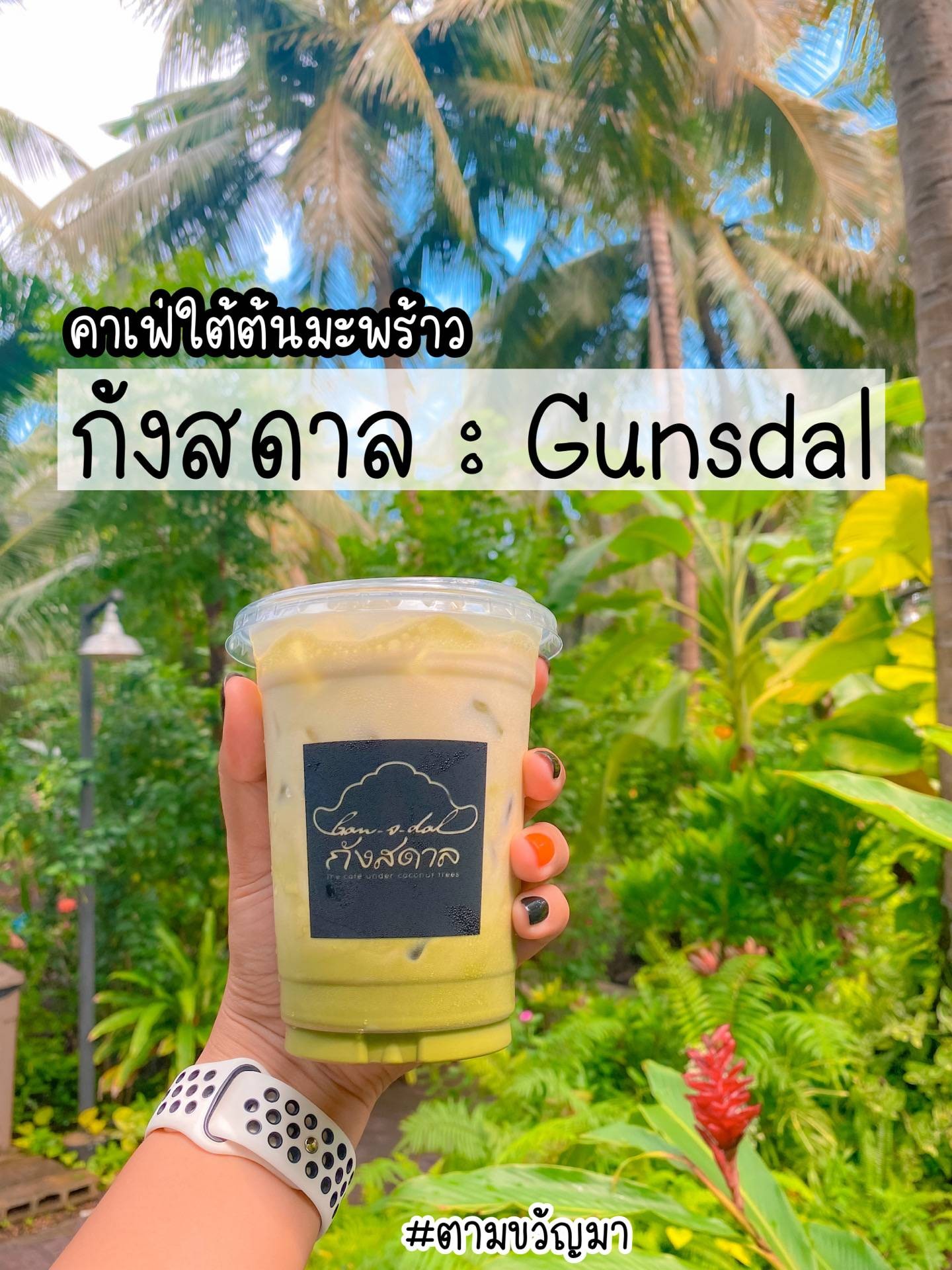 รีวิว Gansdal - คาเฟ่ในสวนมะพร้าว ครัวซองต์ลิ้นจี่อร่อยมากๆ