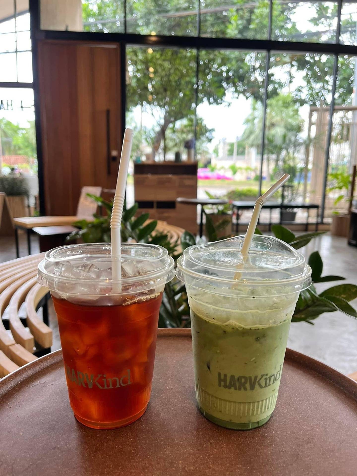 รีวิว Harvkind Cafe บางขุนเทียน - ร้านชิลน่านั่ง ทำงานได้ สัตว์เลี้ยงมาได้ ใครชอบชาไทย Karan ...