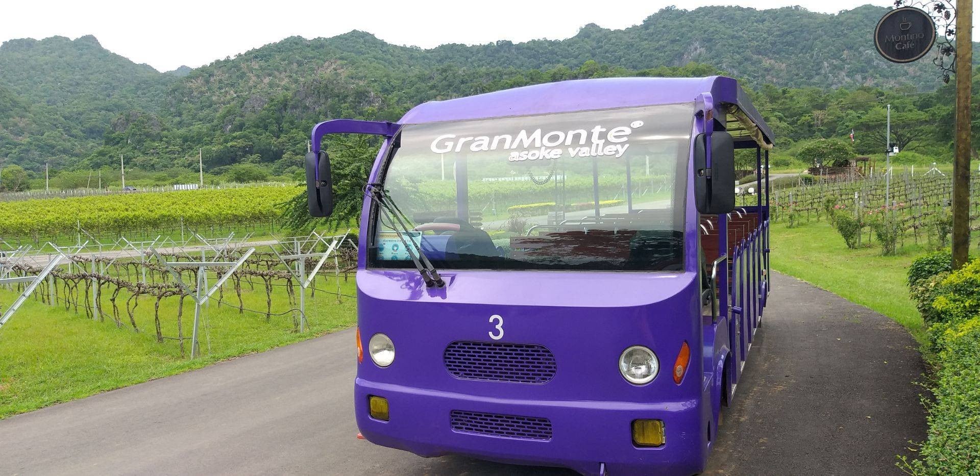 รีวิว GranMonte Vineyard and Winery เขาใหญ่ - มาซื้อน้ำองุ่นที่ไร้องุ่น