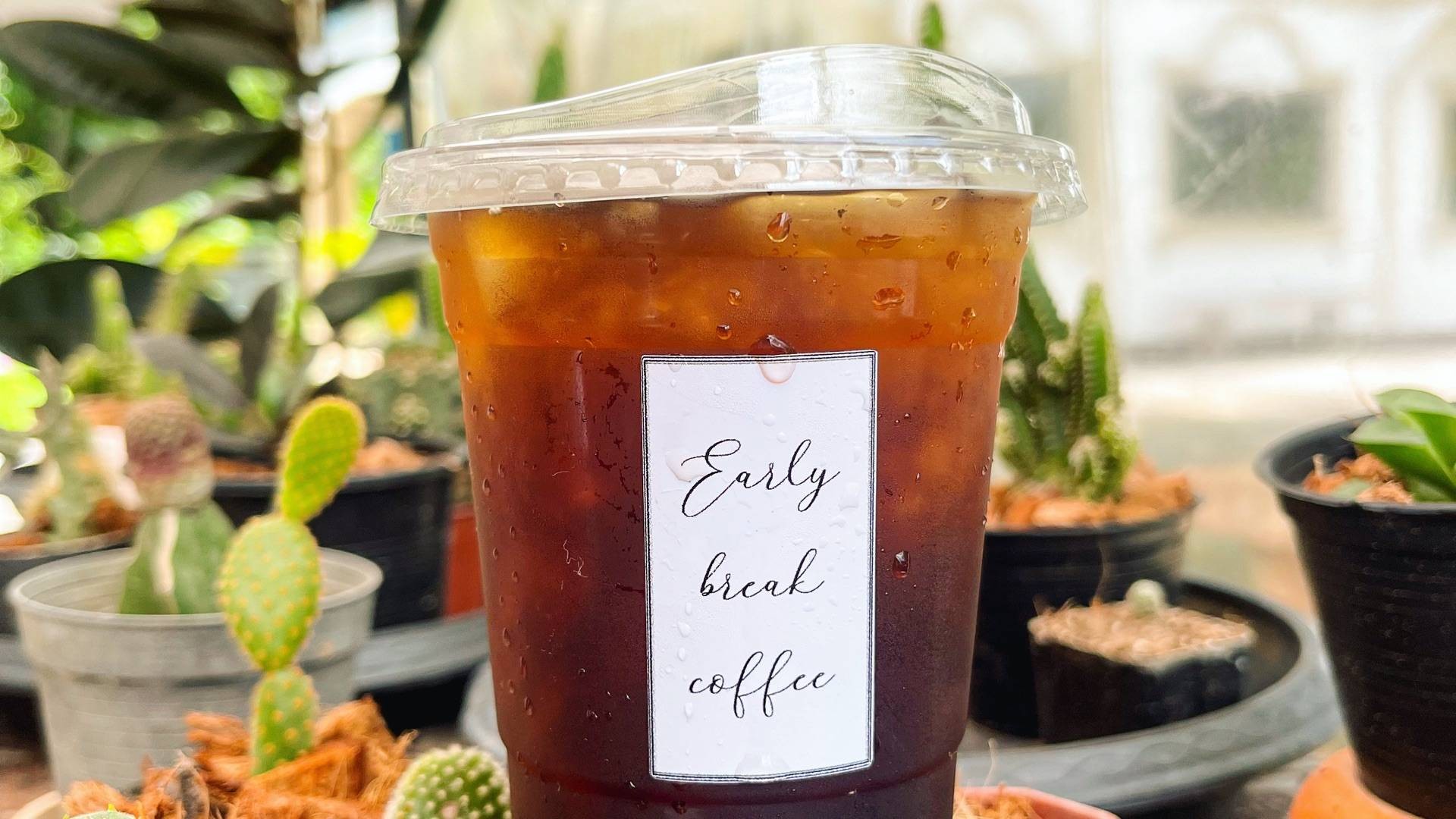 ร้าน Early break coffee สาขา1 | รีวิวร้านอาหาร - Wongnai
