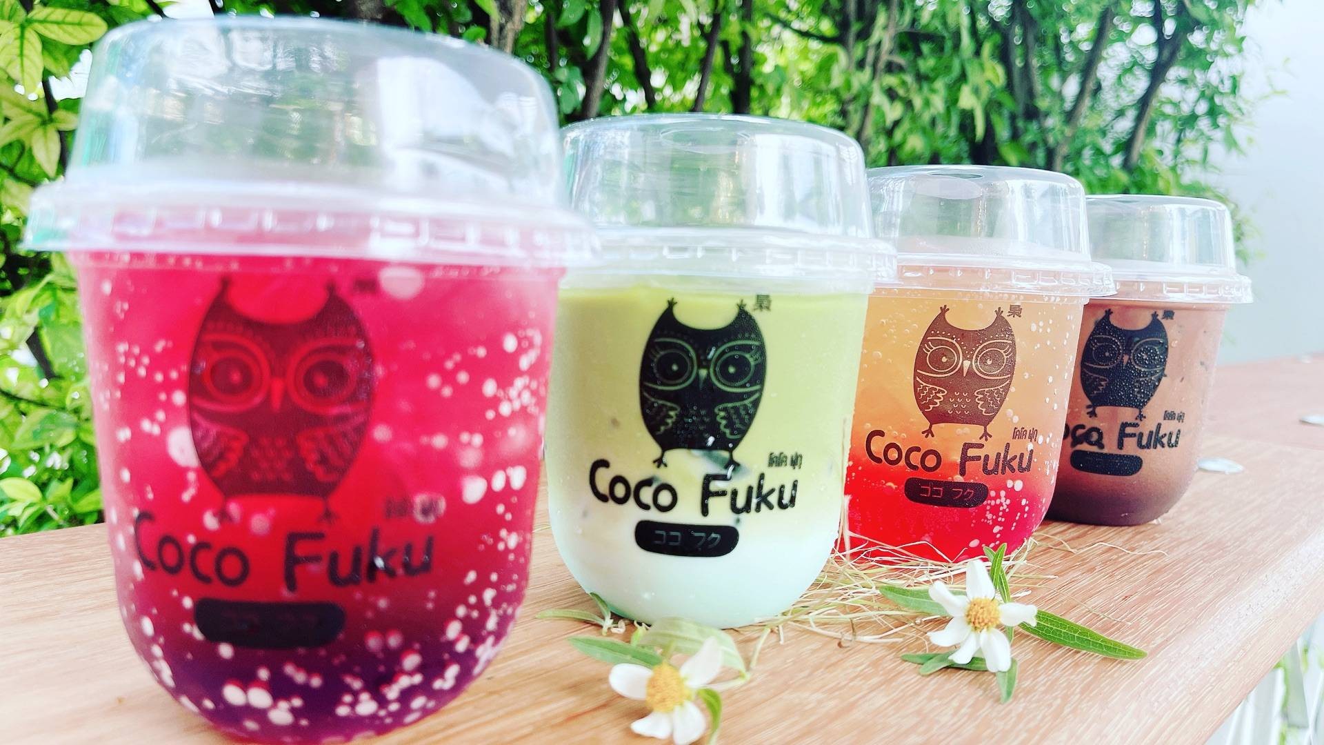 CoCo Fuku สัมมากร รามคำแหง - สั่งอาหารเดลิเวอรี | Wongnai x LINE MAN