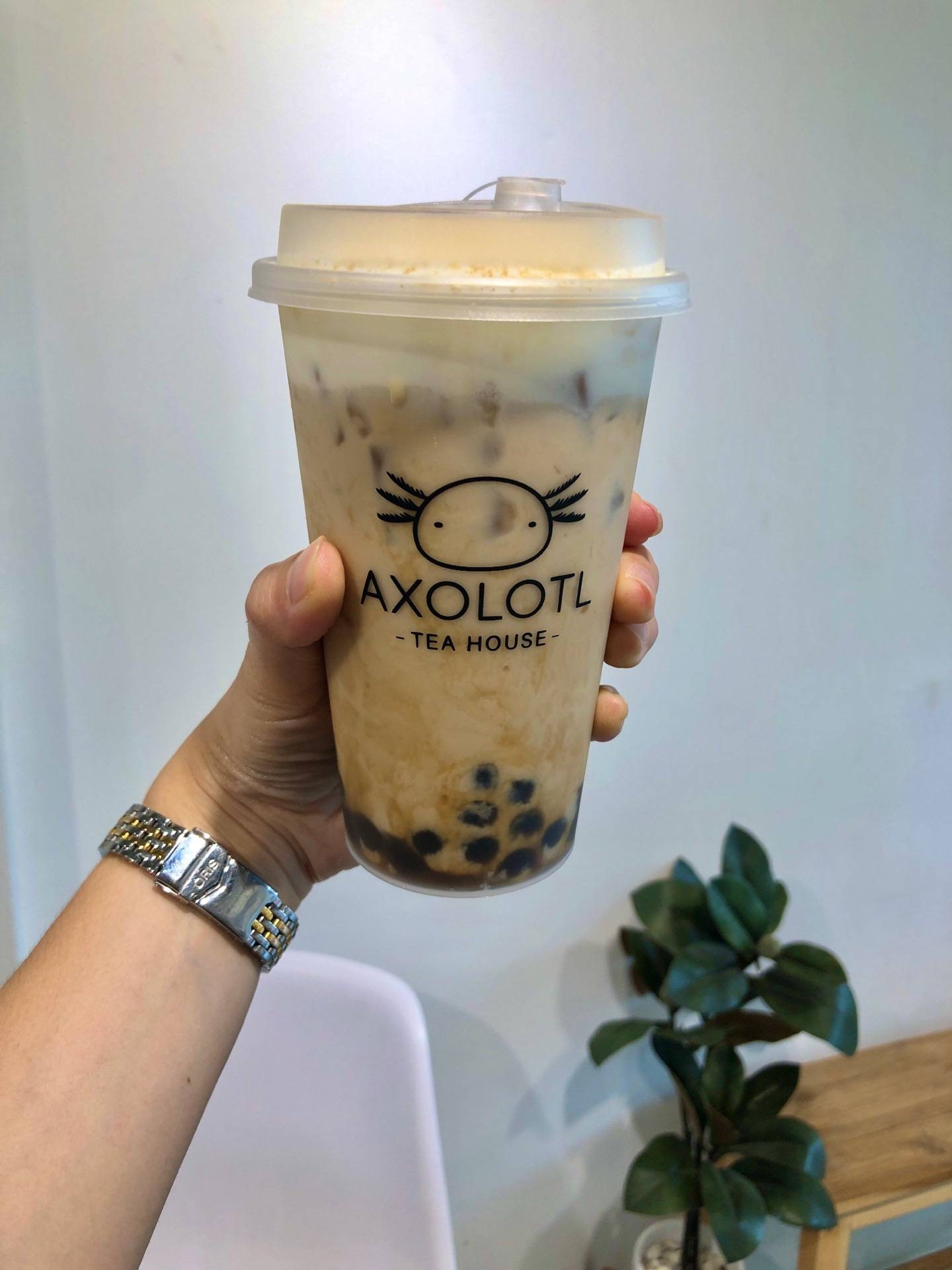 รีวิว Axolotl Tea House - มีชาหลากหลายชนิด ราคาน่ารัก - Wongnai