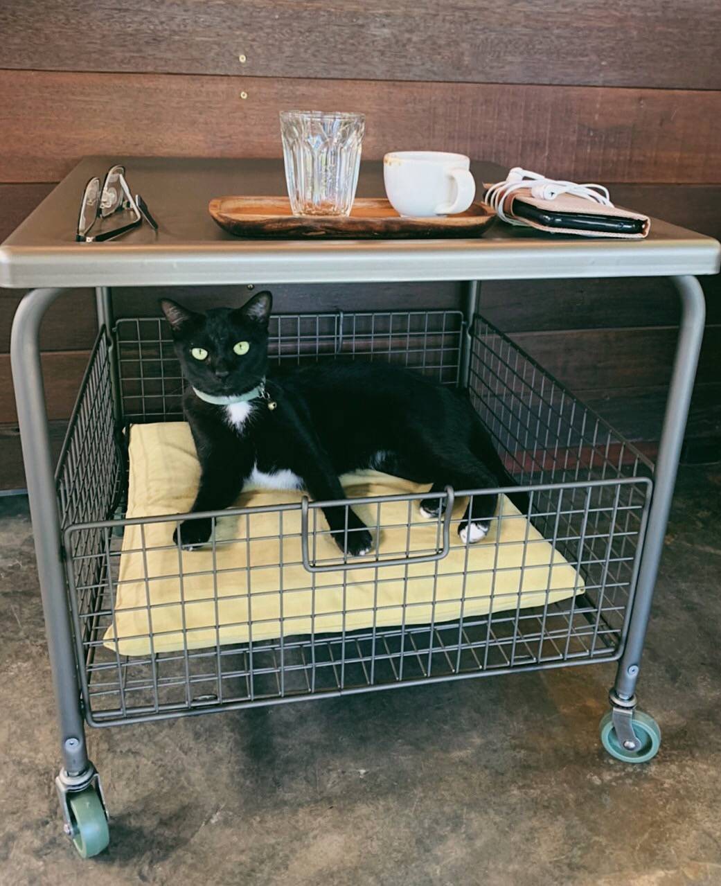 รีวิว Snaily ชลบุรี