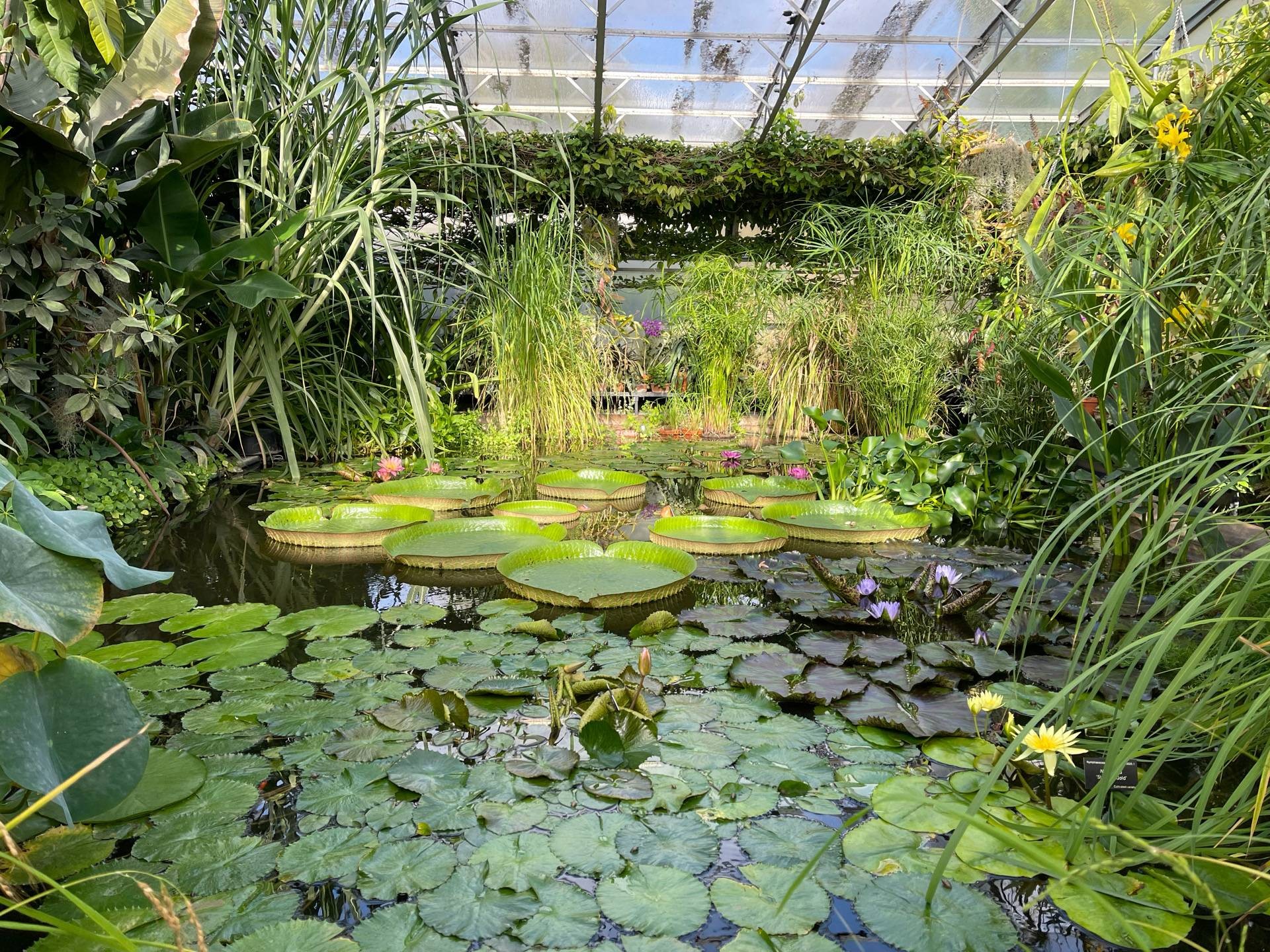 Oxford Botanic Garden - รีวิวสถานที่ท่องเที่ยว
