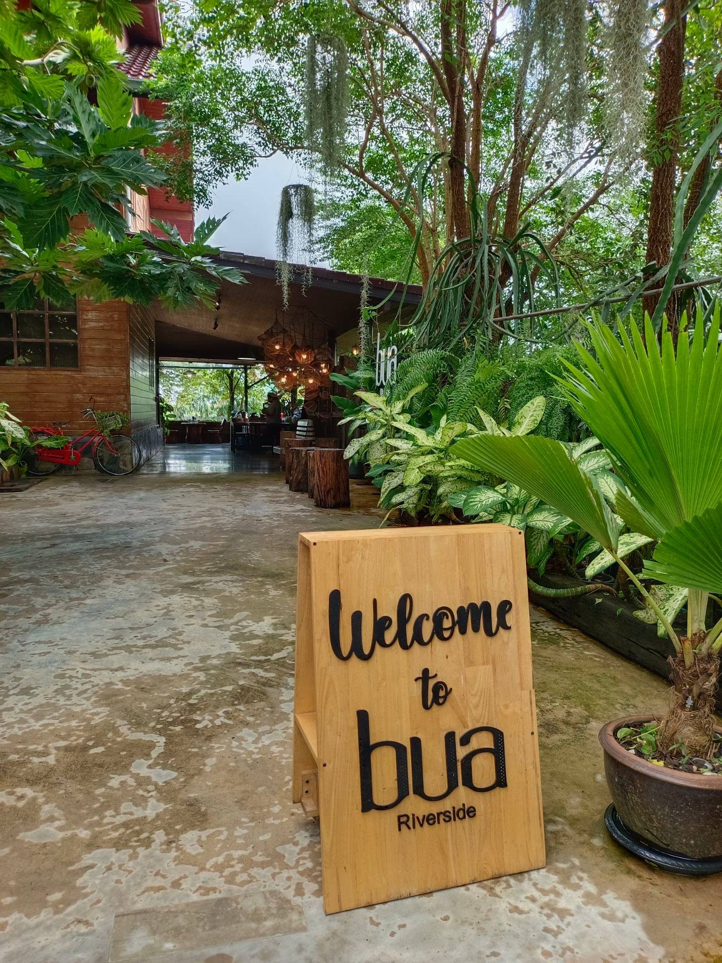 รูป BUA Riverside ผัดไทย กุ้งแม่น้ำเผา - Wongnai