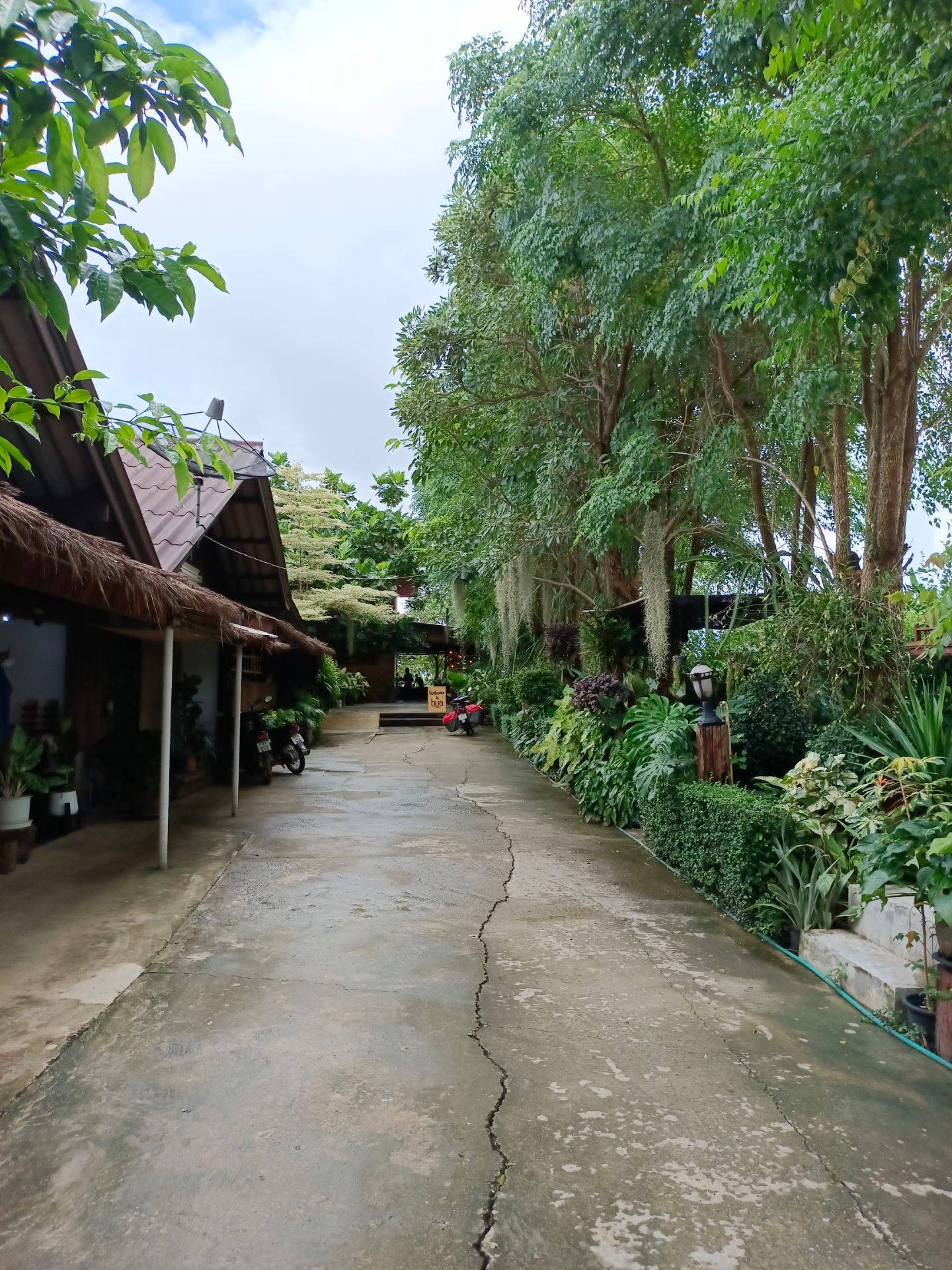 รูป BUA Riverside ผัดไทย กุ้งแม่น้ำเผา - Wongnai