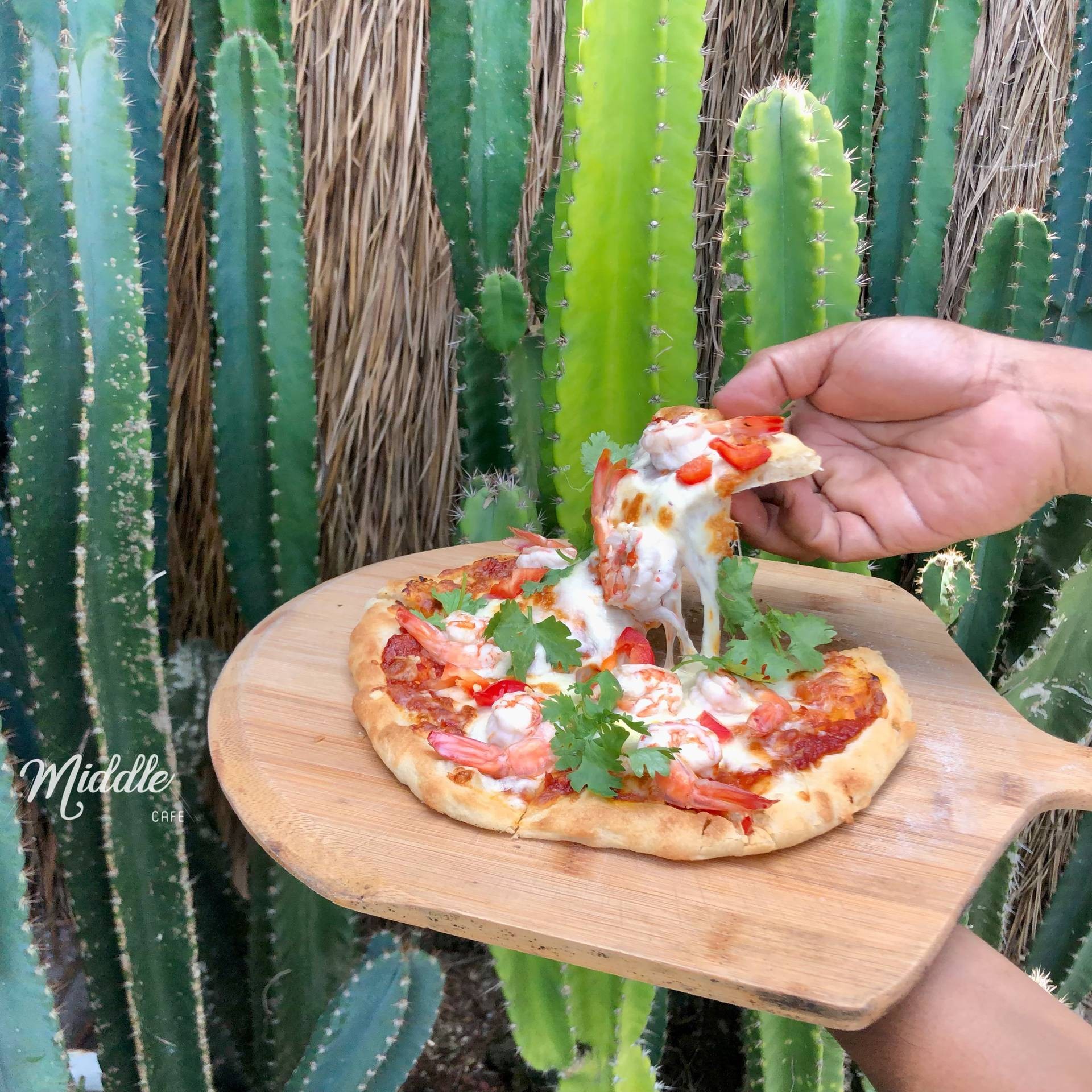 ร้าน Middle Pizza & food | รีวิวร้านอาหาร - Wongnai