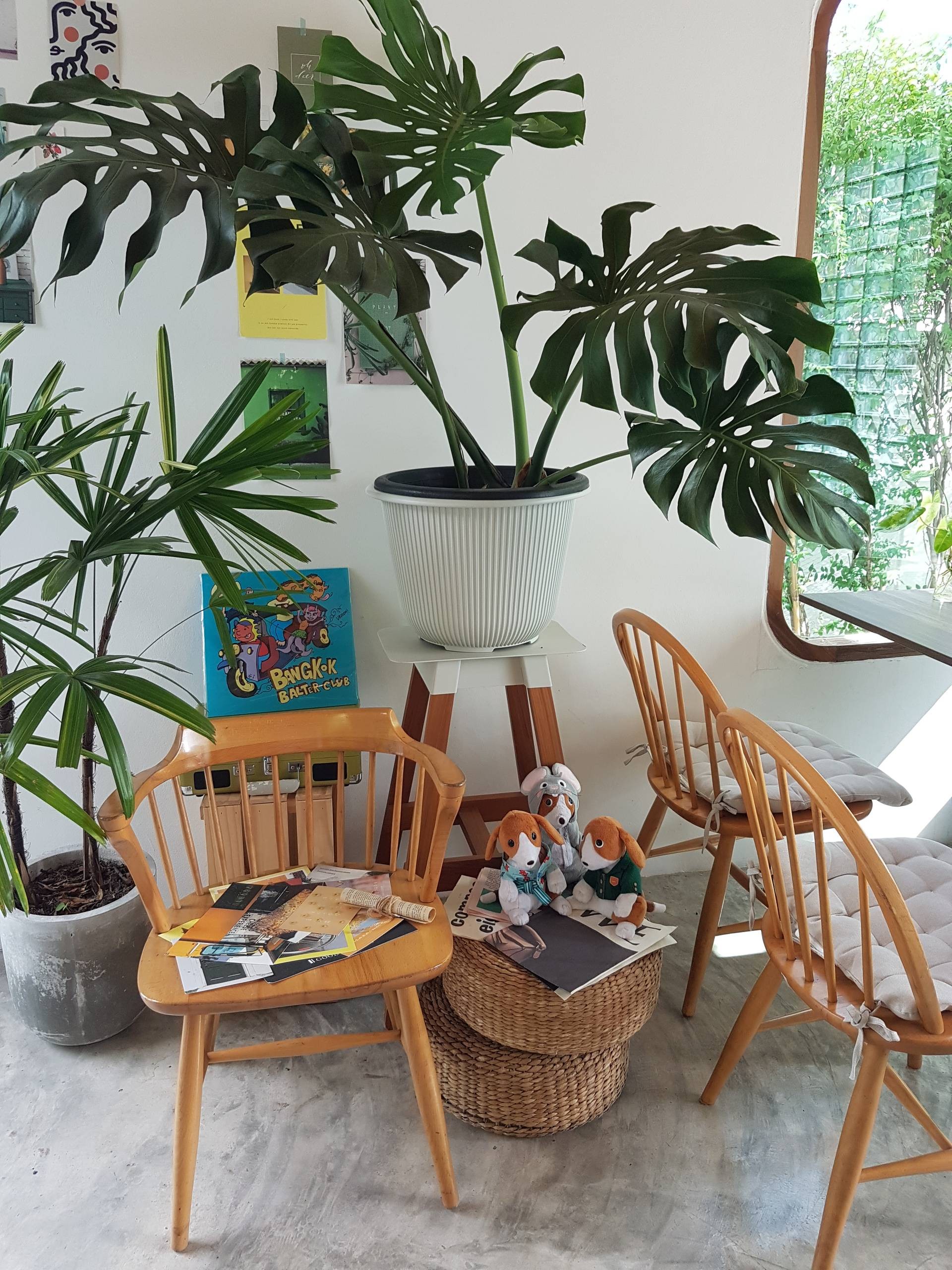 รีวิว Blooming Cafe - ร้านเล็กๆ แต่เครื่องดื่มดี ขนมอร่อย - Wongnai