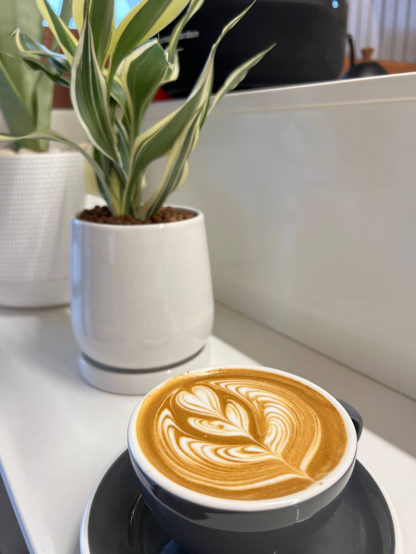 ลาเต้ร้อน ร้าน vast.coffee Onnut14