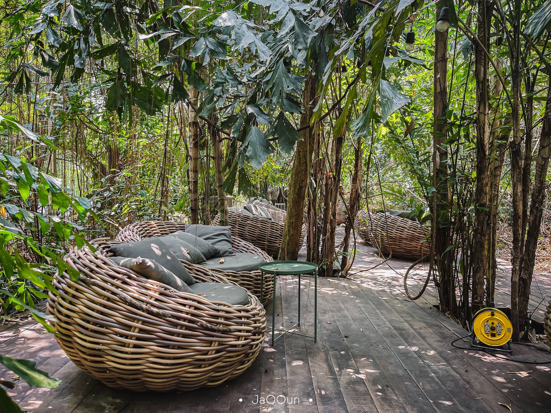 รูป Little Tree Garden