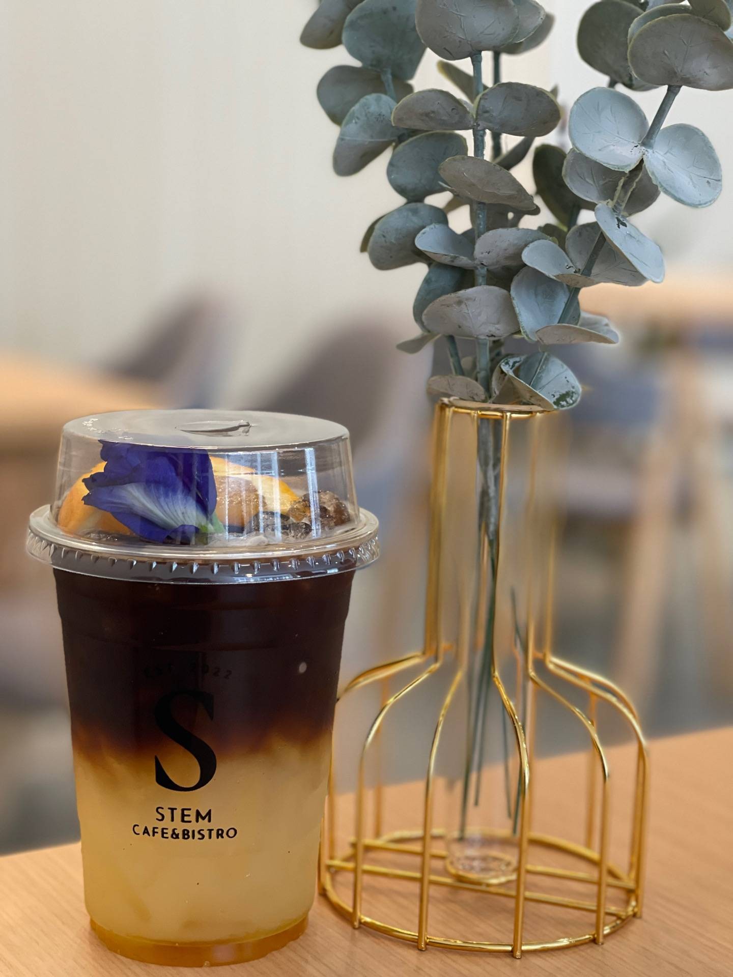 รีวิว Stem Cafe & Bistro เมืองพัทลุง - คาเฟ่ที่มีคาวกวาน จบในที่เดียว