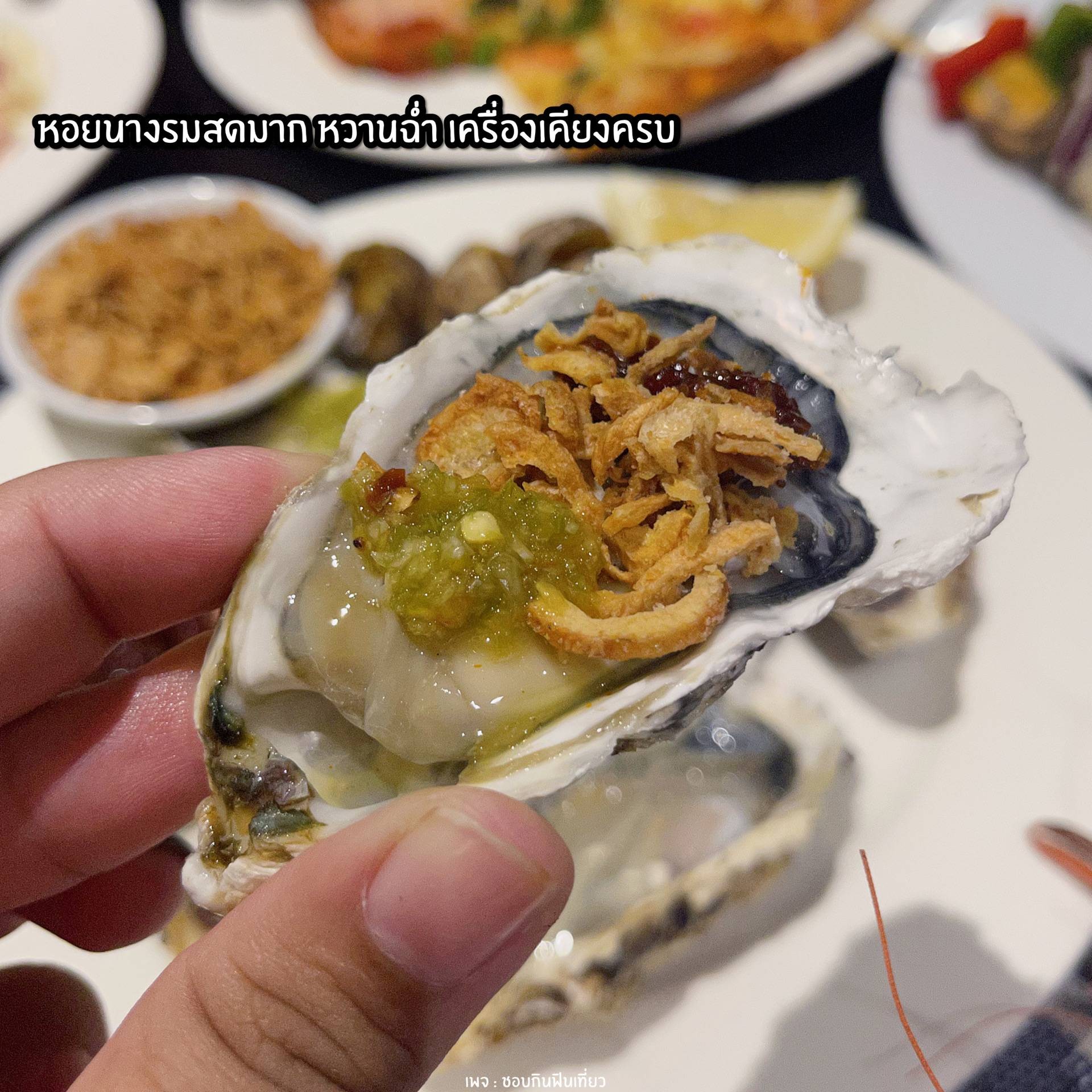 รูป Squid & co.