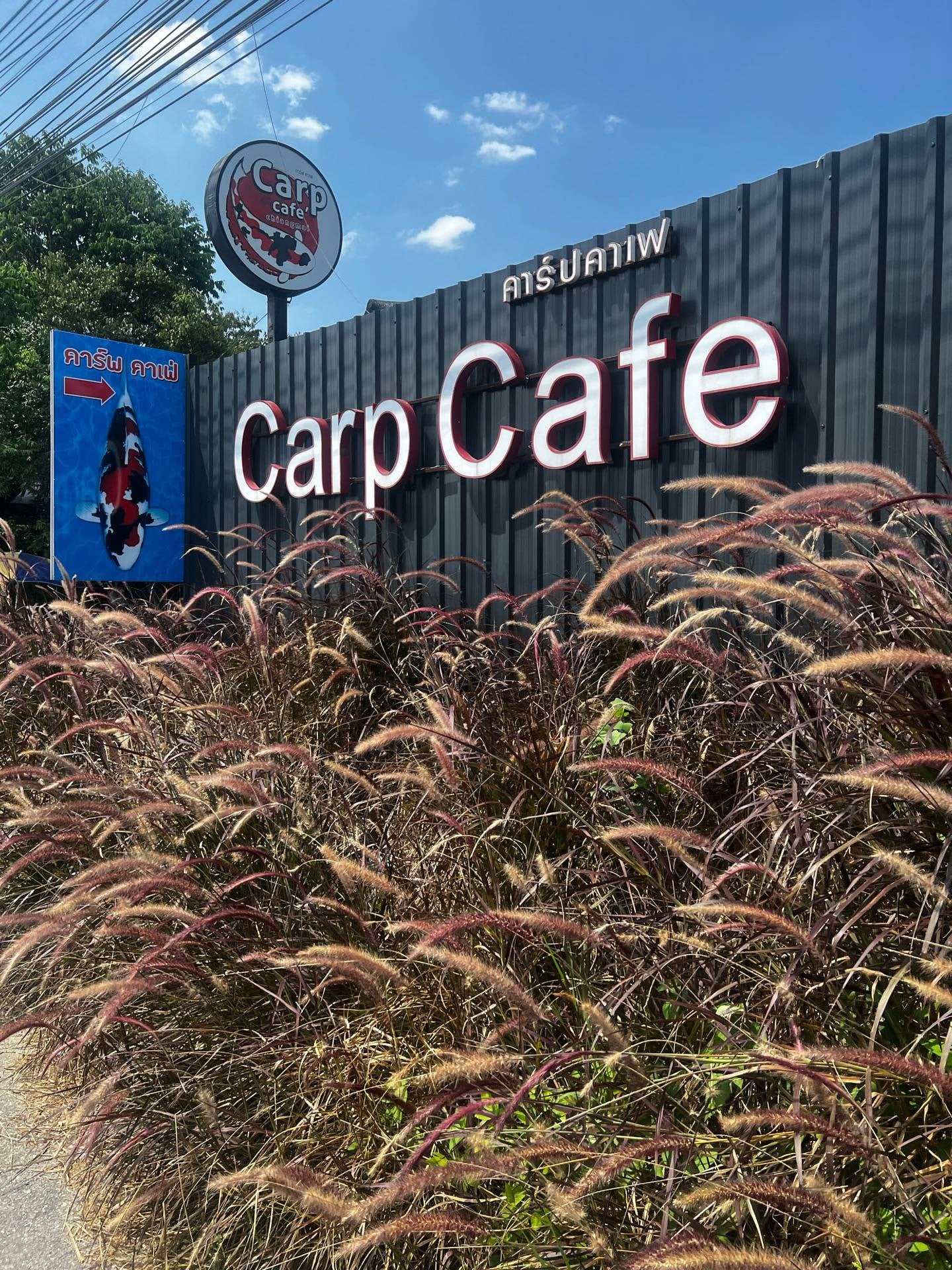 รีวิว Carp Cafe' - แวะดูปลาคราฟพร้อมอาหารเครื่องดื่มค่ะ