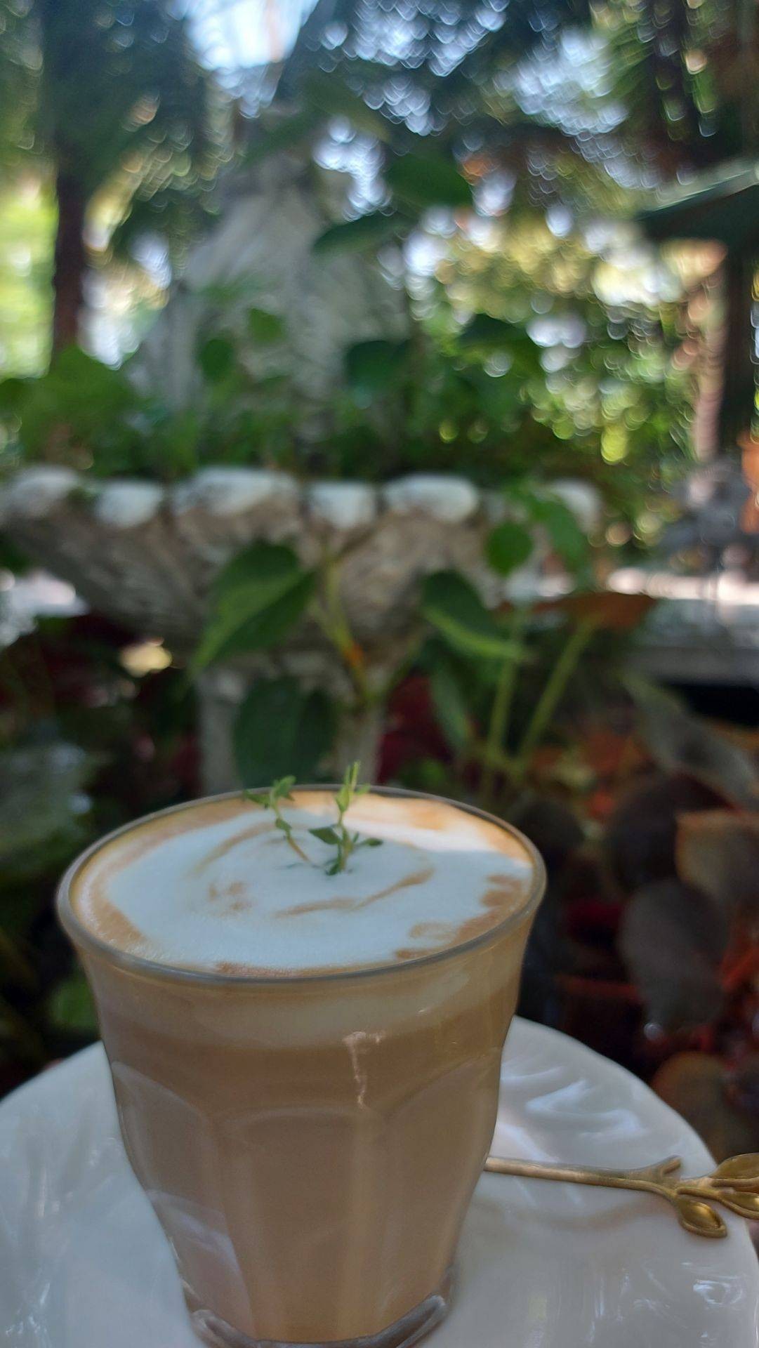 รีวิว รสเด็ด การ์เด้น (Rosded Garden) - ดีเหมือนร้านดั้งเดิม - Wongnai