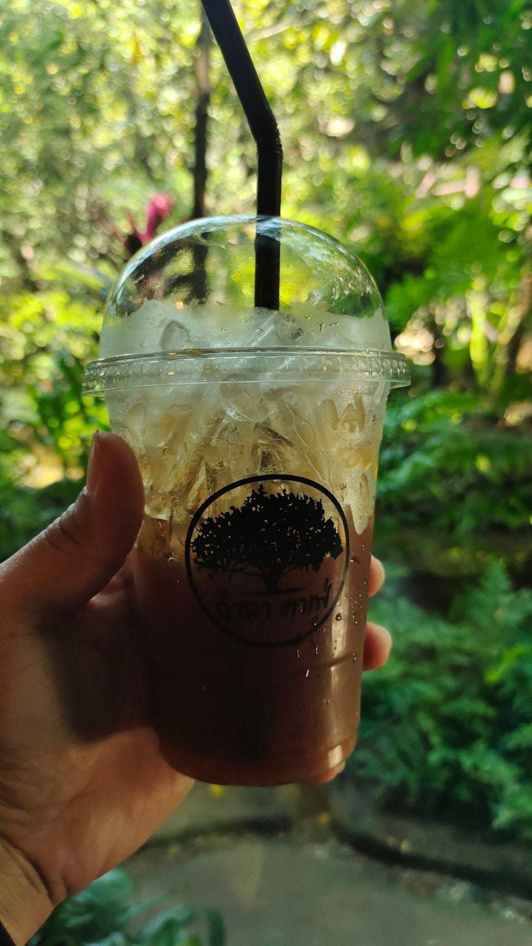 รูป ฉำฉา คาเฟ่ Chamcha Cafe