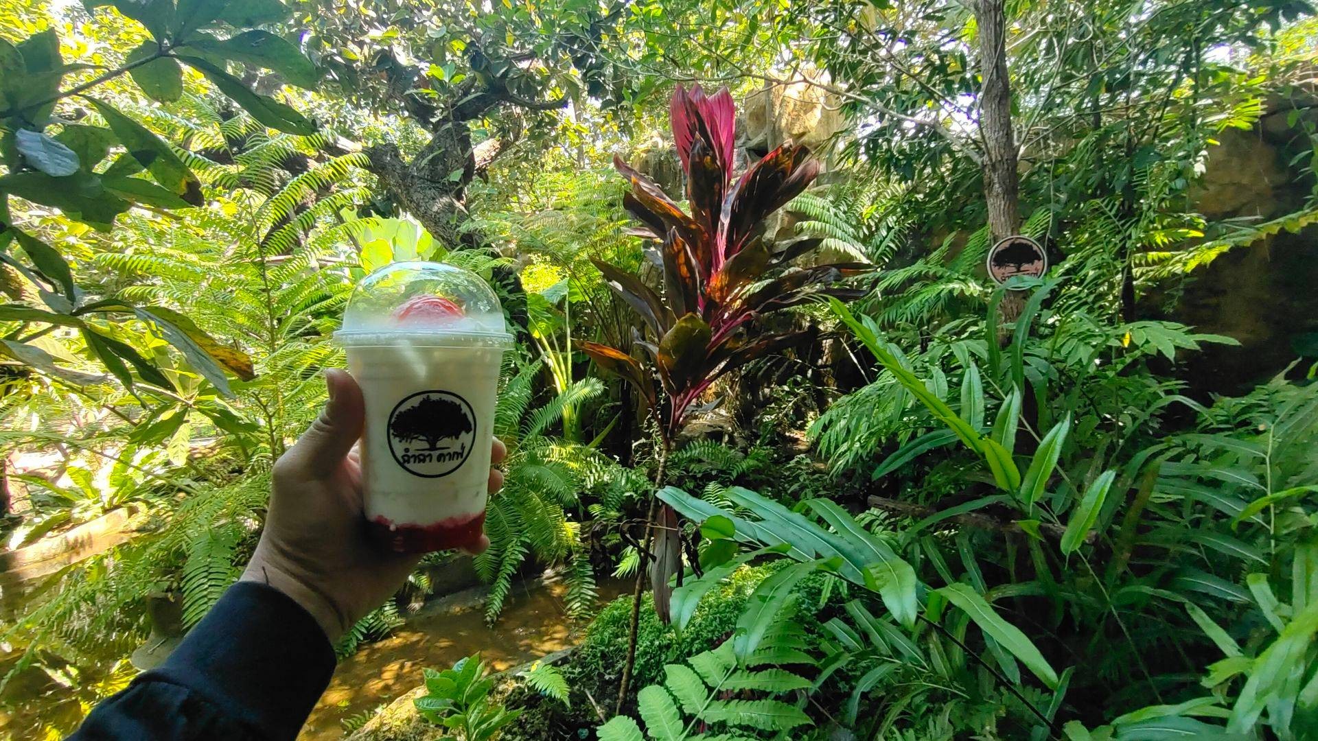 รูป ฉำฉา คาเฟ่ Chamcha Cafe