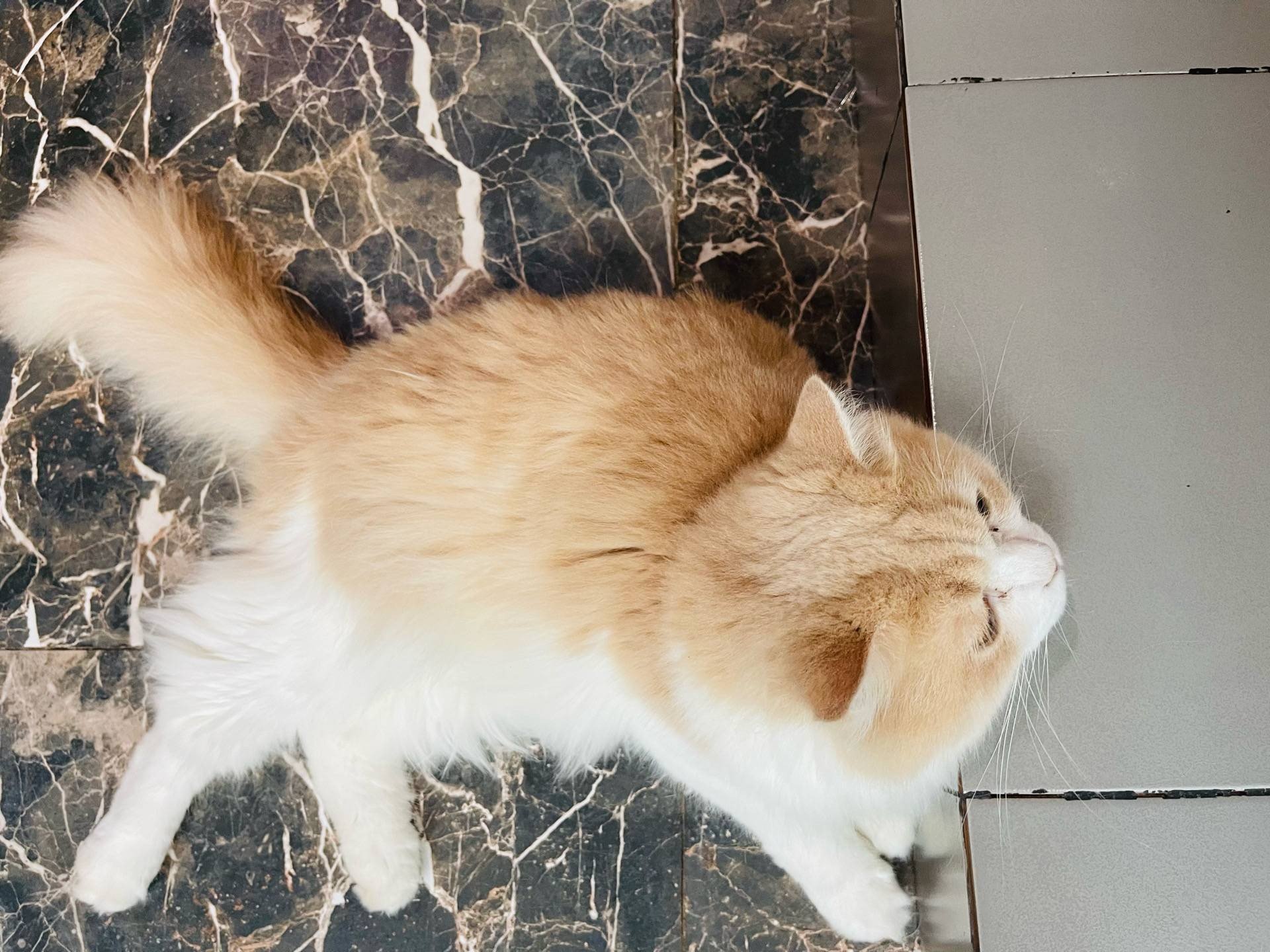 รีวิว Fareen & gift cafe - มาครั้งที่ 2 ซื้อtickets ที่ทางเข้า และ ...