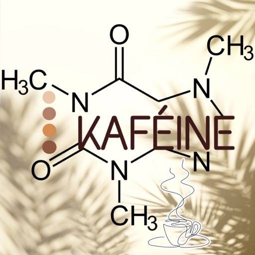 ร้าน KAFÉINE slow bar | รีวิวร้านอาหาร