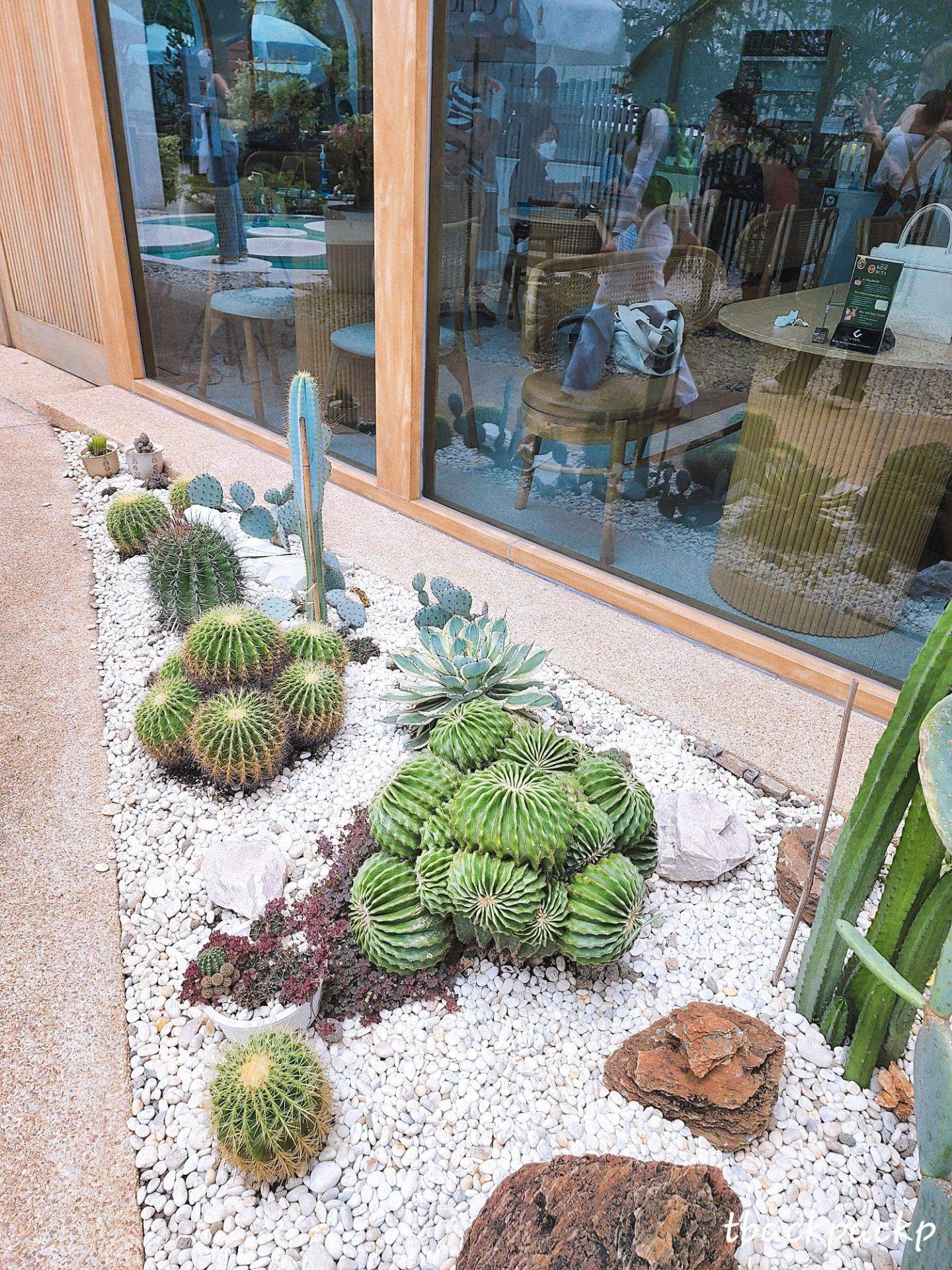 รูป Churn Buttery Churn Buttery