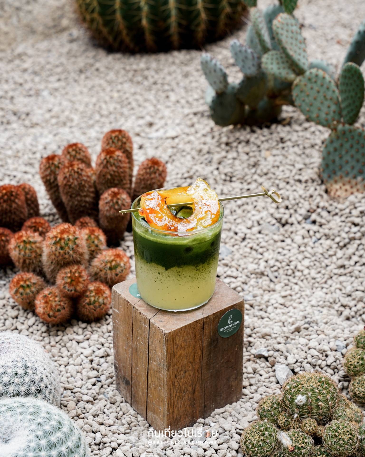 [รีวิว] ร้าน Botanist Activity Space & Cafe | เมนูแนะนำ รูปภาพ ราคา ...