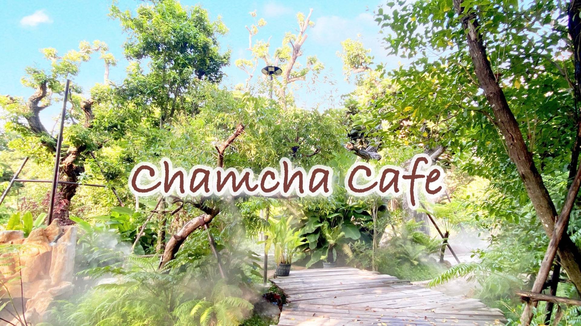 ร้าน ฉำฉา คาเฟ่ Chamcha Cafe | รีวิวร้านอาหาร