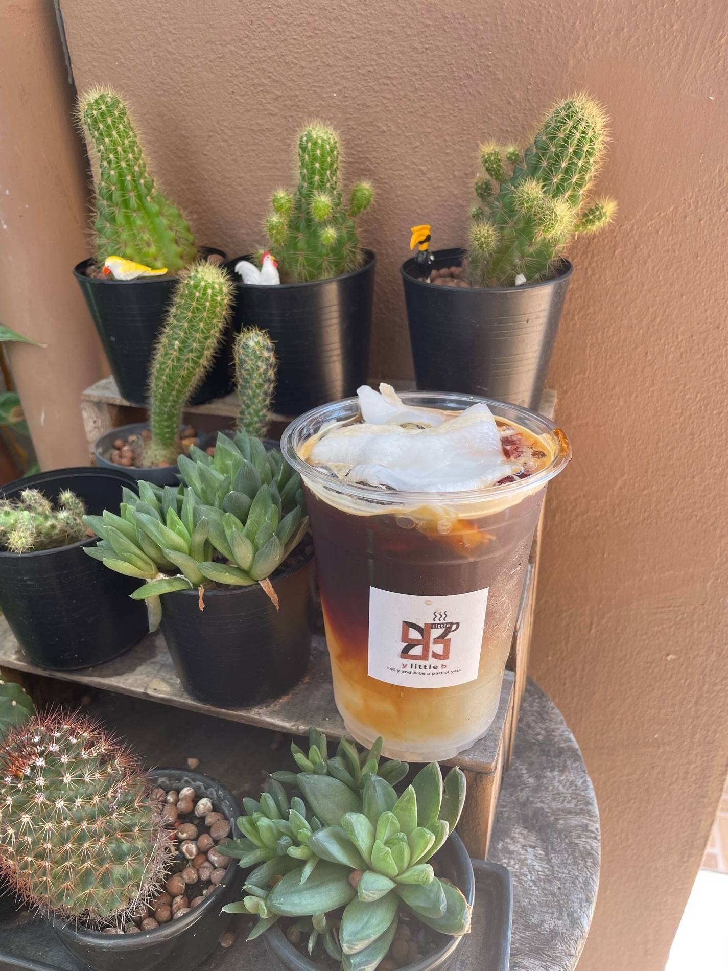 ร้าน Breakfast & Coffee (BB) - อาหารเช้า - ข้าวราดไข่ / กาแฟสด | รีวิวร้านอาหาร