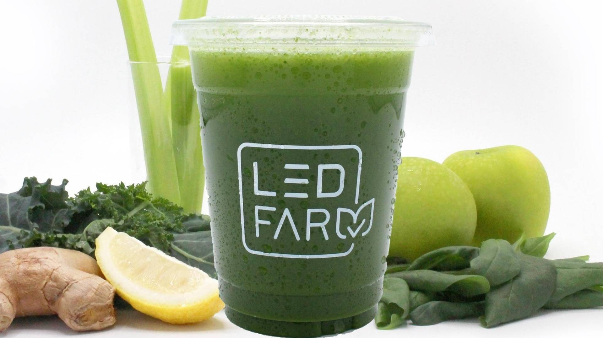 LED FARM เทอร์มินอล 21 พระราม 3 - สั่งอาหารเดลิเวอรี | Wongnai x LINE MAN