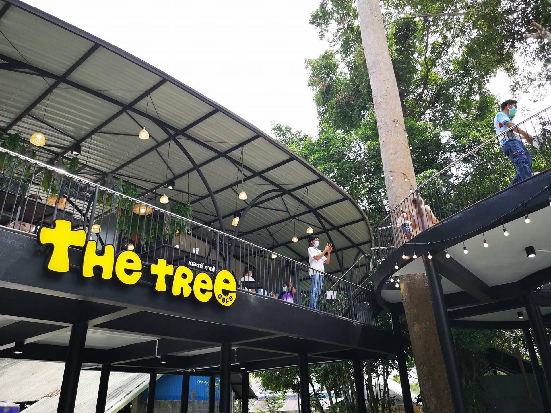 รีวิว The Tree Cafe เดอะทรีคาเฟ่ - บรรยากาศดีมากมีอาหารแล้วเครื่องดื่ม ...
