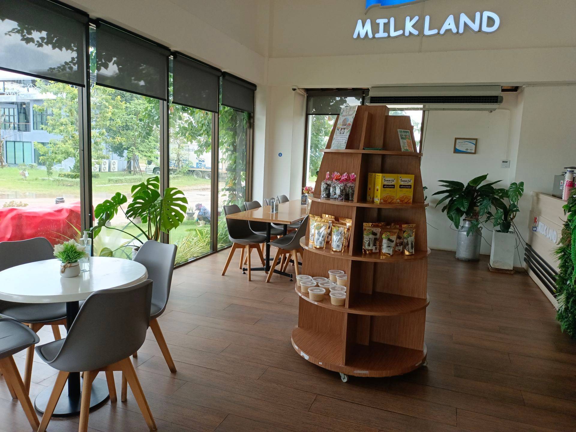 รูป Milk Land สหกรณ์โคนมชะอำ-ห้วยทราย สหกรณ์โคนมชะอำ-ห้วยทราย