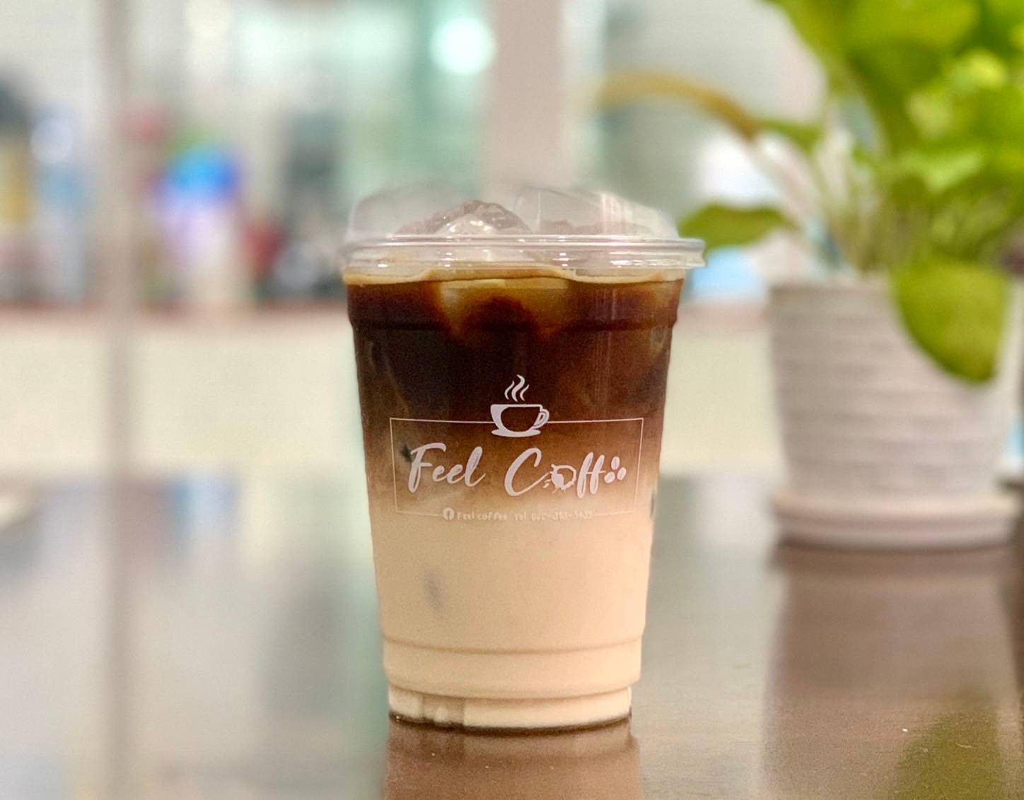 ลาเต้ • image ร้าน Feel coffee กาแฟสด สาขา รพ.กรุงไทยเวสเทิร์น ...