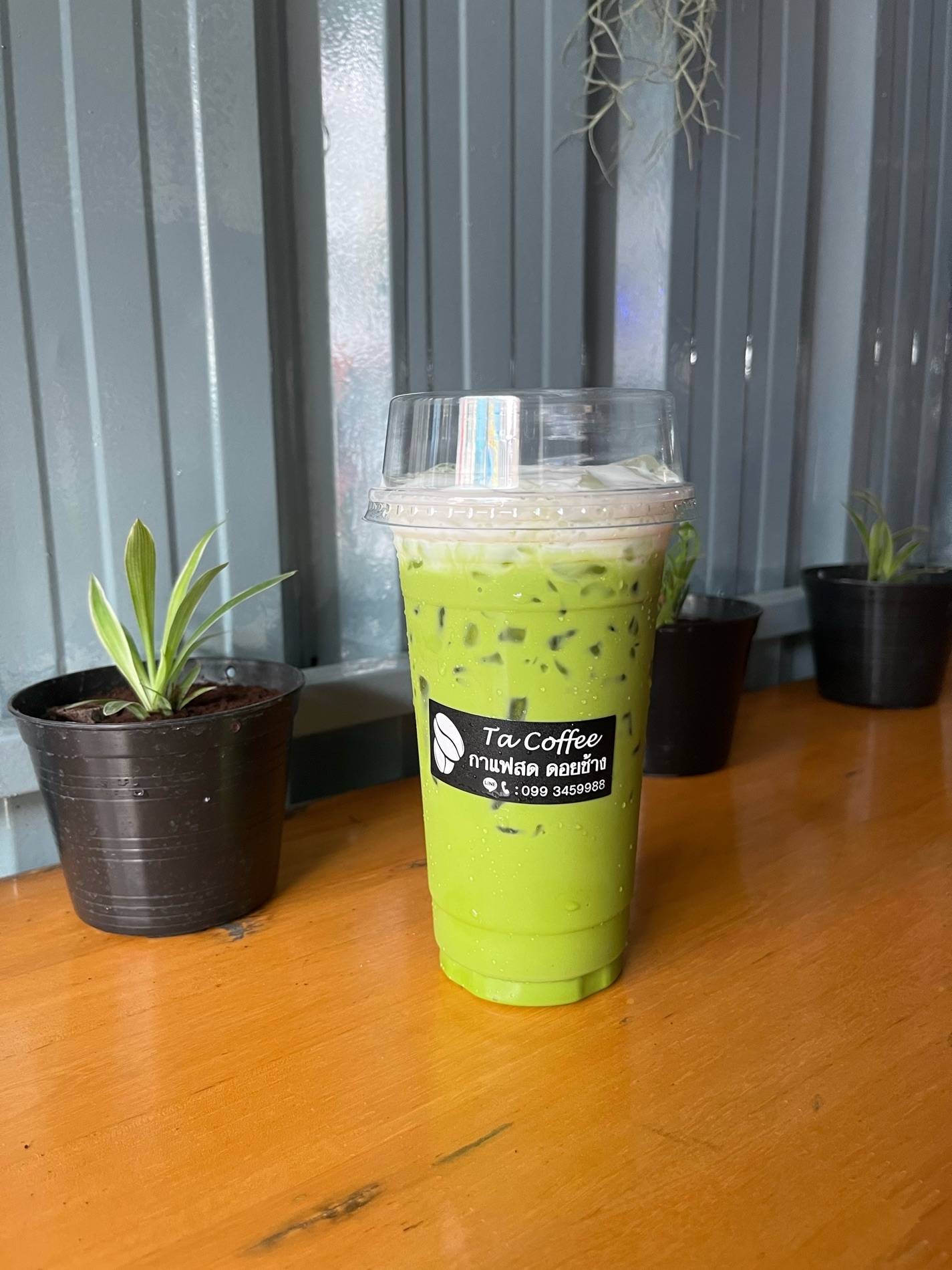 ร้าน TA COFFEE ดอยช้าง | รีวิวร้านอาหาร