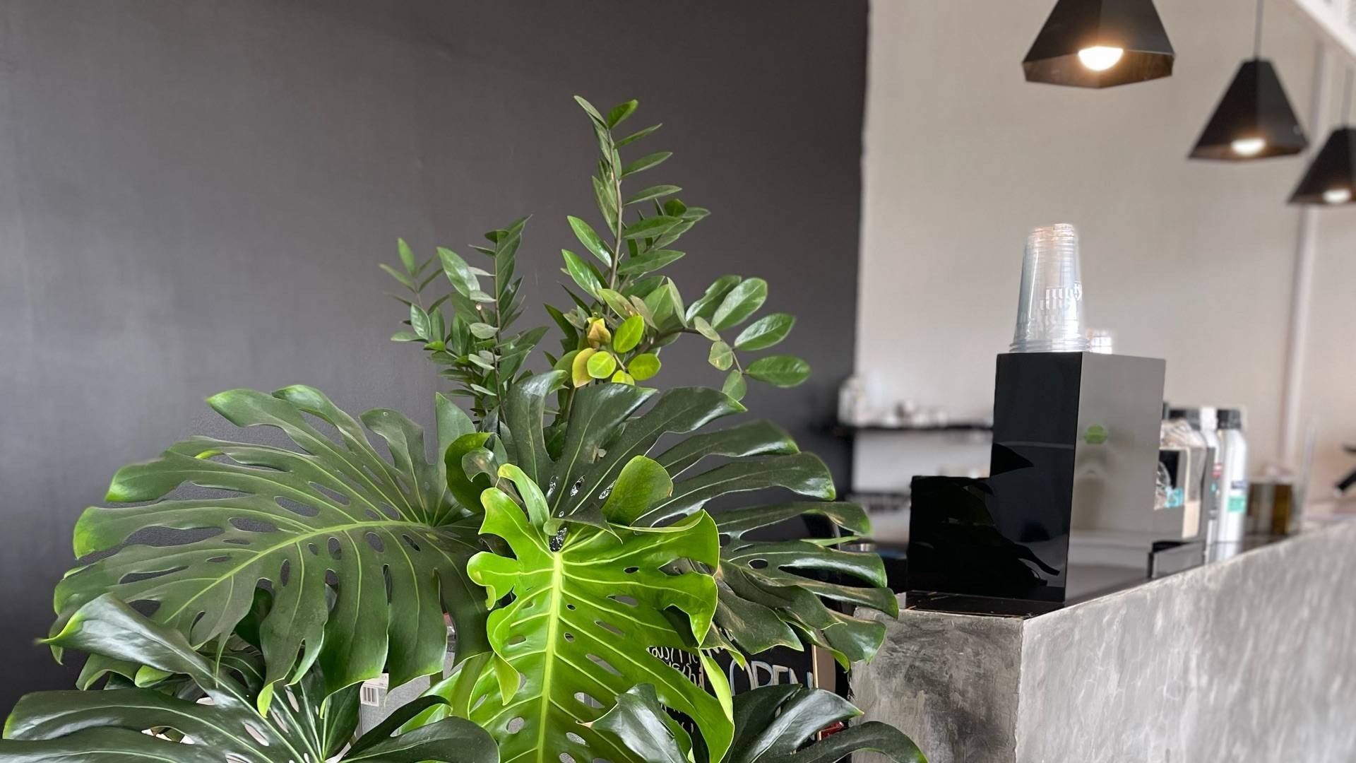 kami coffee - สั่งอาหารเดลิเวอรี | Wongnai x LINE MAN