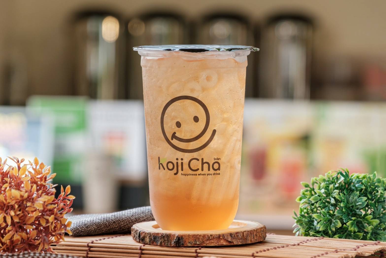 ร้าน koji cha สงขลา | รีวิวร้านอาหาร - Wongnai
