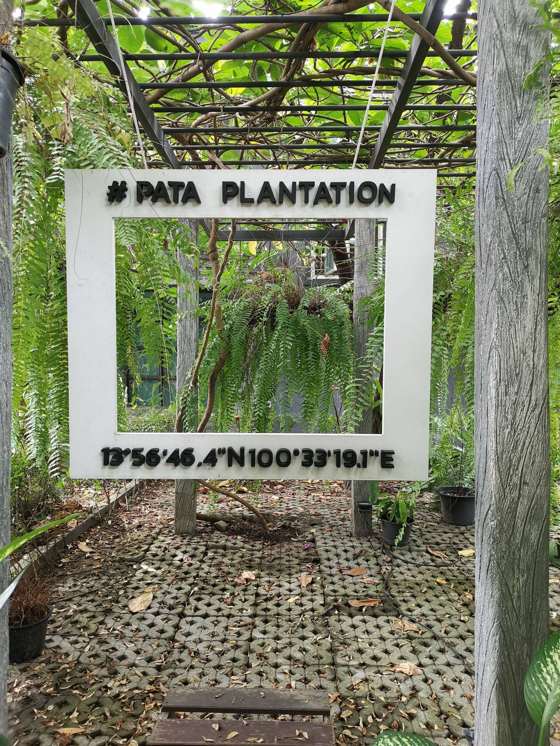 รูป PATA PLANTATION