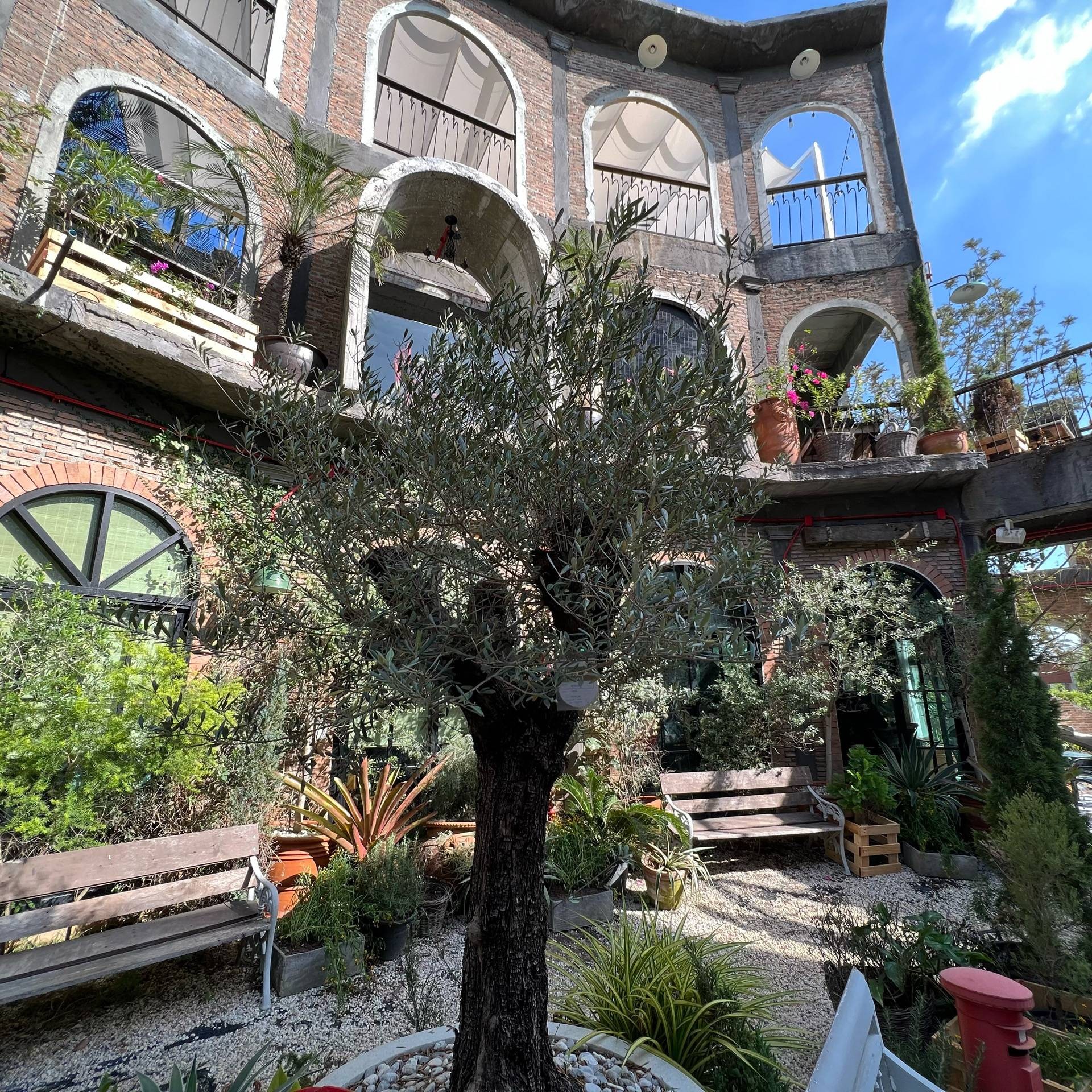 รูป Cafe Laura Bar & Restaurant หนองแค