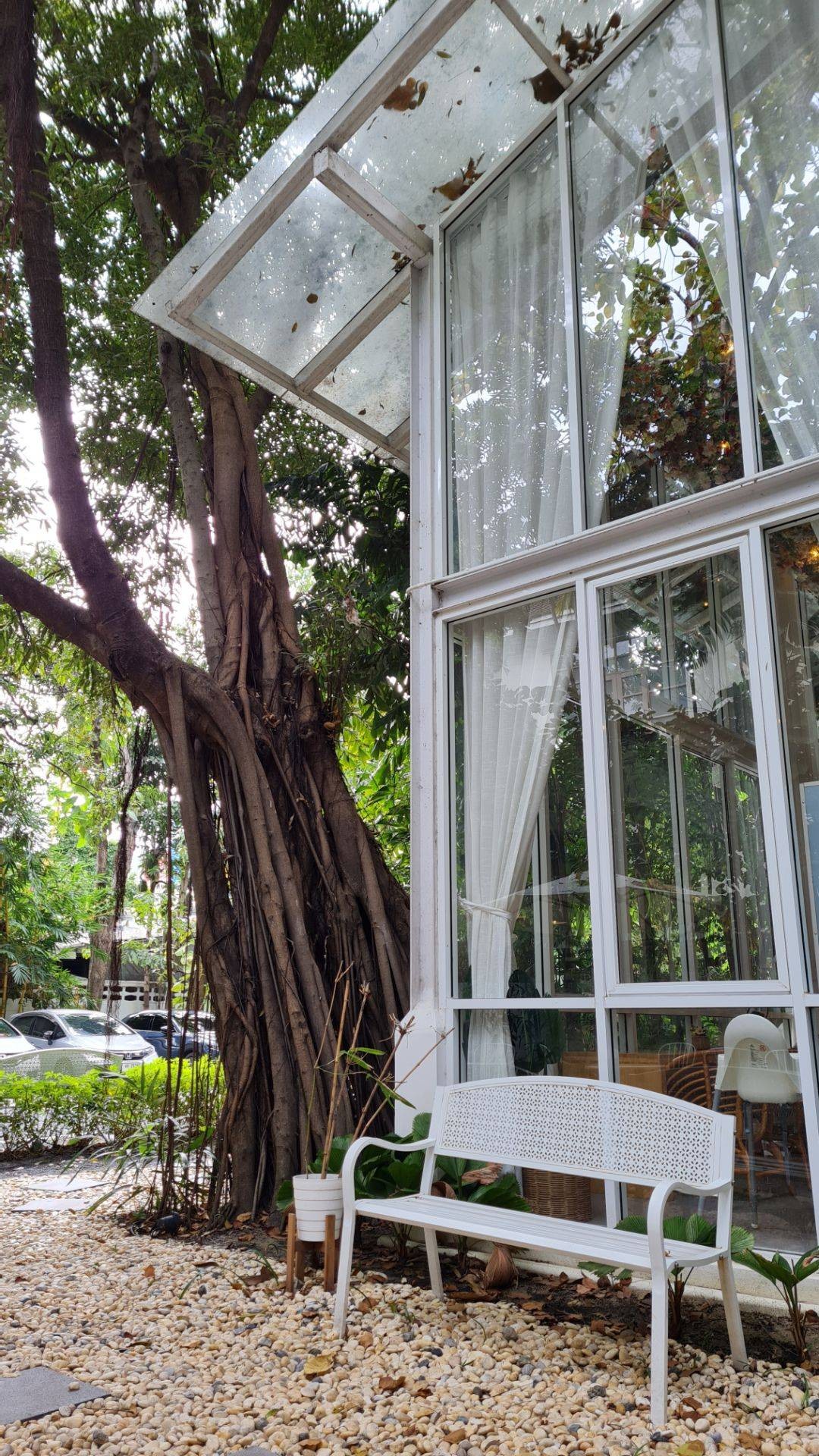 รูป Ryoku Cafe りょくカフェ สุขุมวิท 35