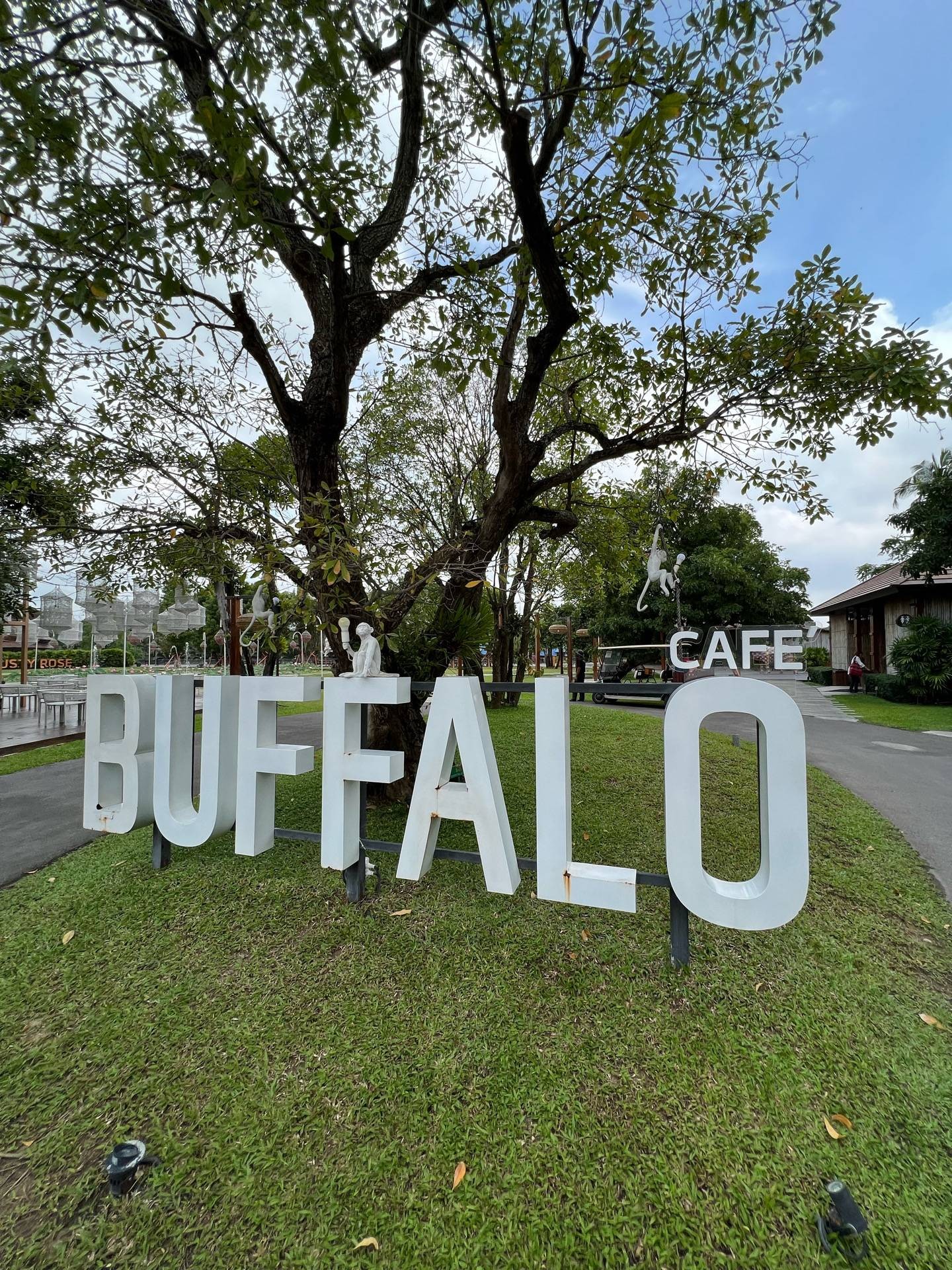 รูป The Buffalo Cafe'