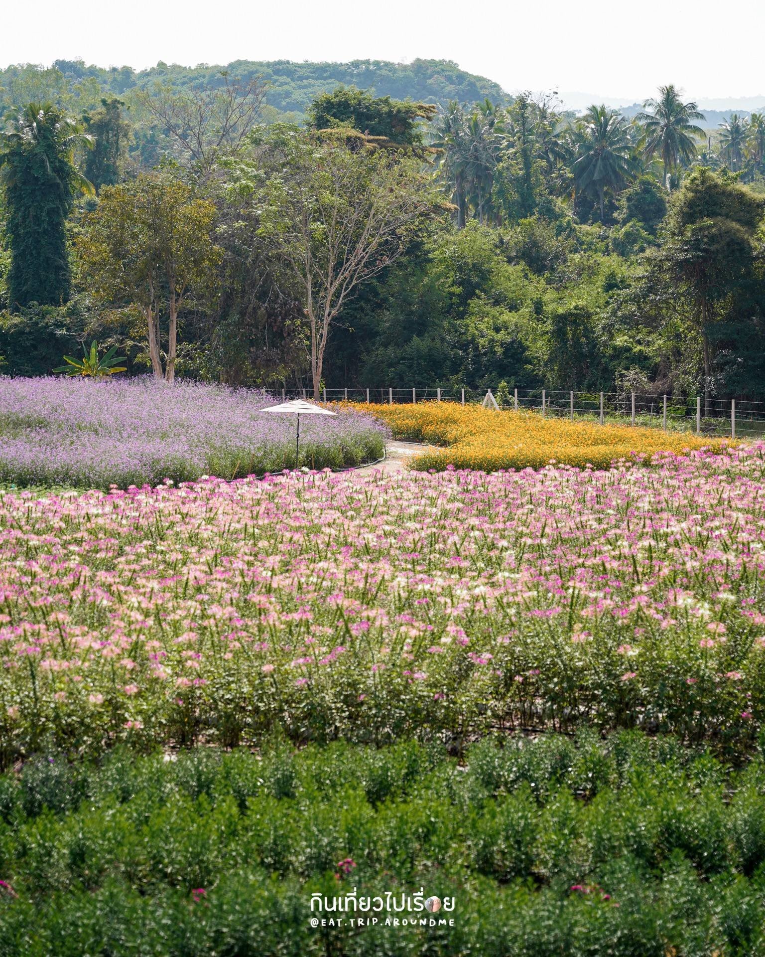 รูป Floryday Khaoyai : Cafe & Flower