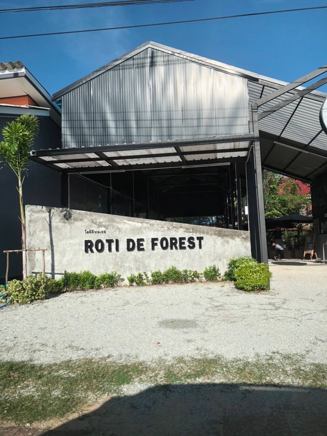 รีวิว Roti de forest Narathiwat - เช้าๆ จัดไปโรตีขั้นเทพ - Wongnai