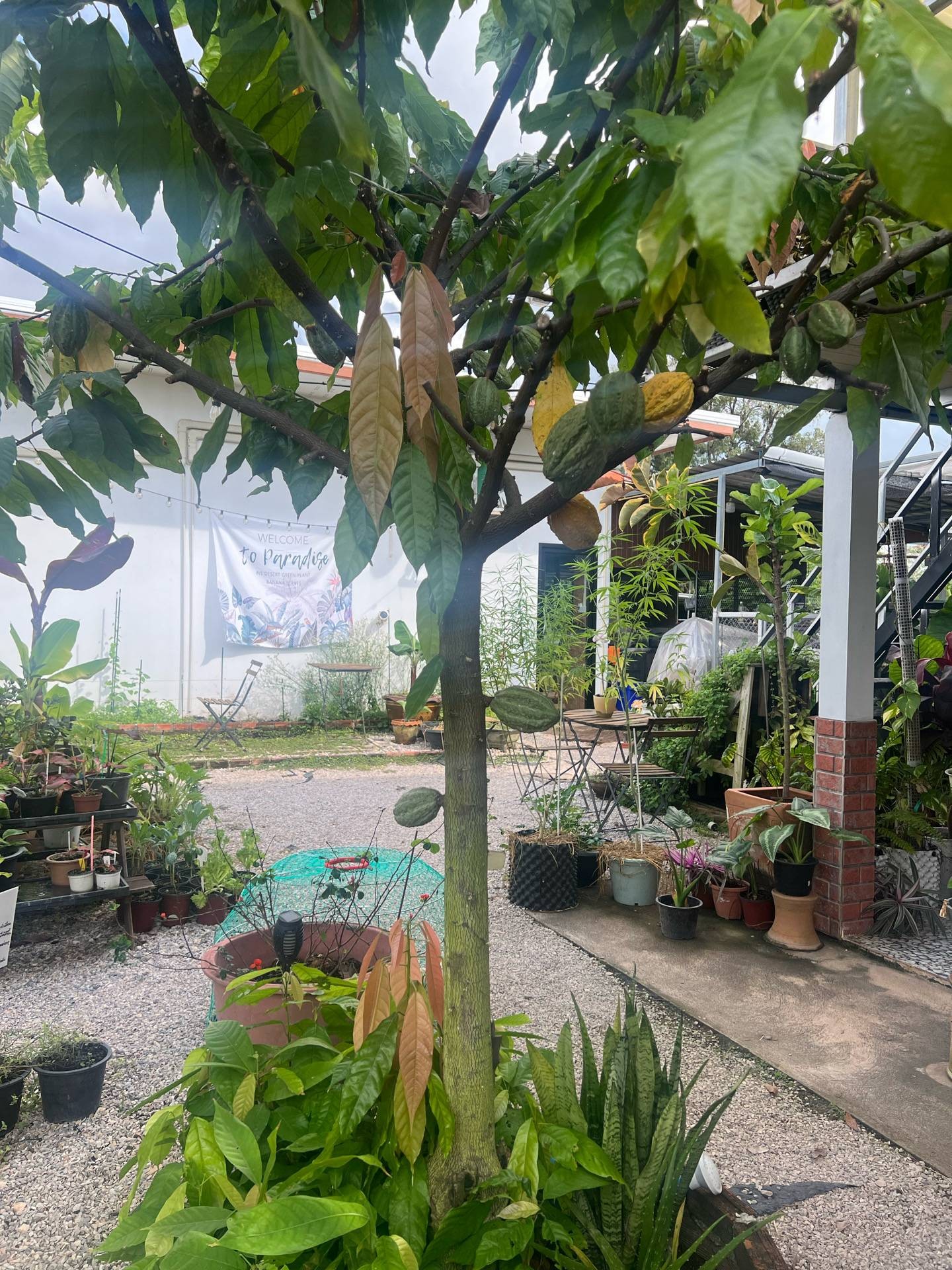 ร้าน WB Paradise Farm | รีวิวร้านอาหาร