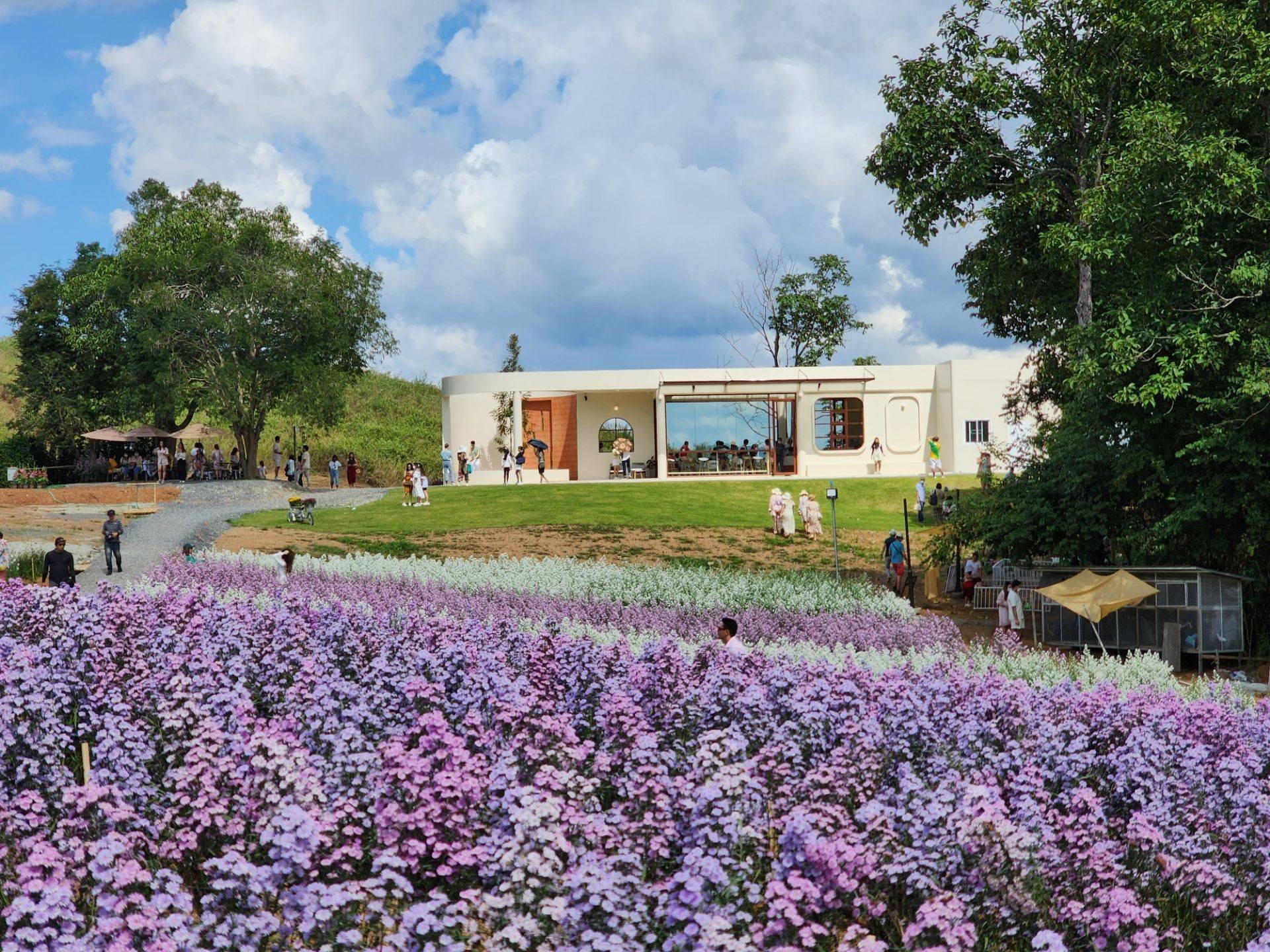 รีวิว Floryday Khaoyai : Cafe & Flower - คาเฟ่สวนดอกไม้เปิดใหม่ สวนสวย ...