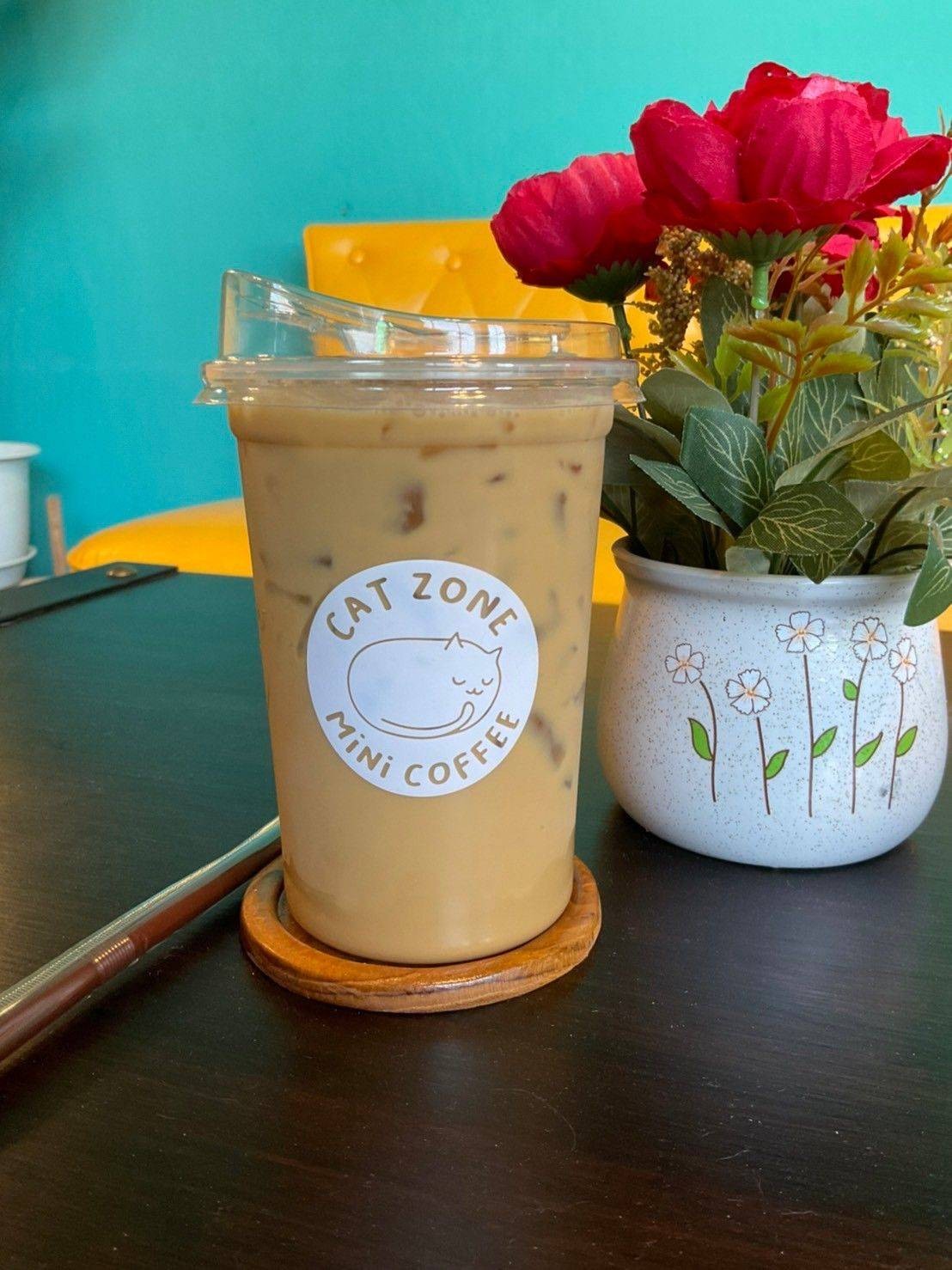 ร้าน Catzone x min i cafe 134 ในเมือง มหาสารคาม | รีวิวร้านอาหาร