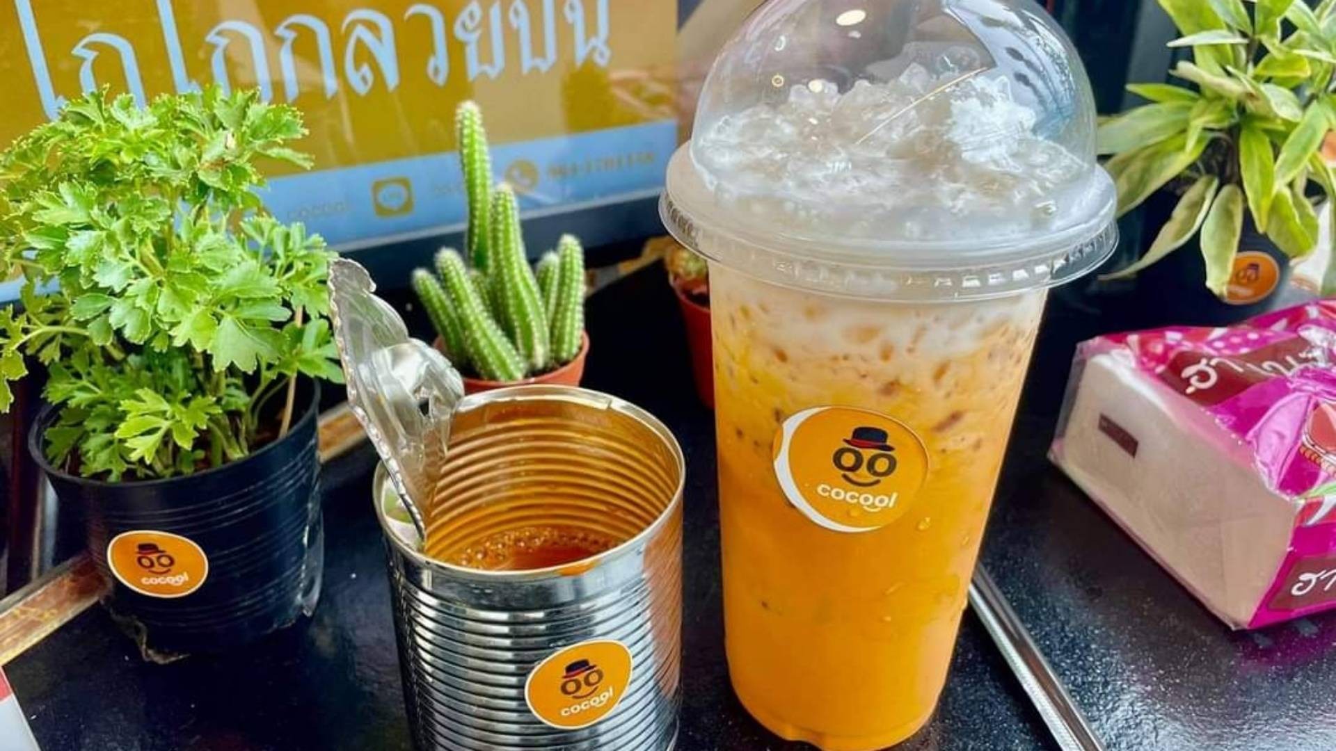 ร้าน cocool | รีวิวร้านอาหาร - Wongnai
