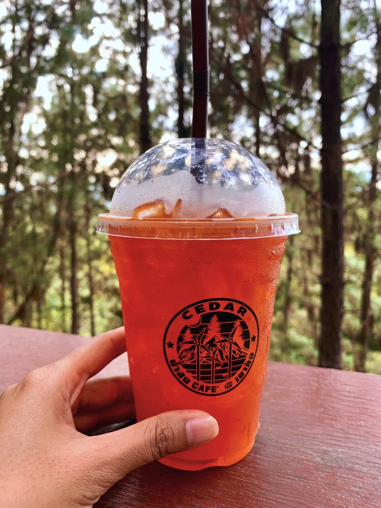 รีวิว cedar ป่าสน cafe' @ เขาค้อ เขาค้อ - 🦦ชิลบนต้นไม้ กับ Cedar Cafe ...