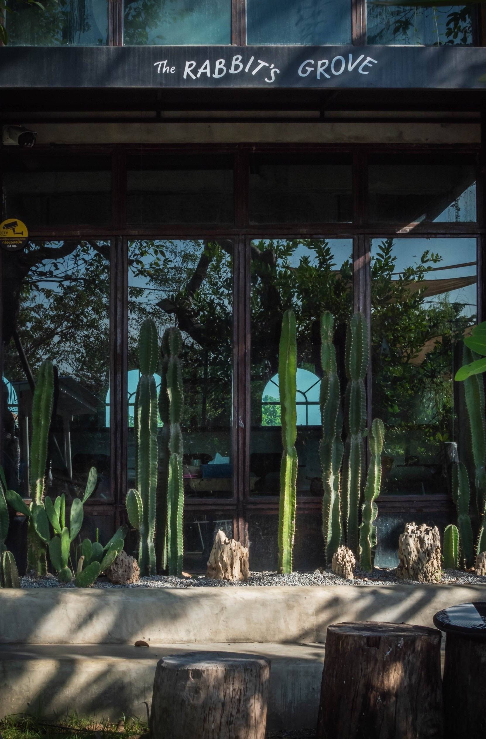 รีวิว The Rabbit’s Grove - The Rabbit’s Grove ร้านอาหารสไตล์คาเฟ่