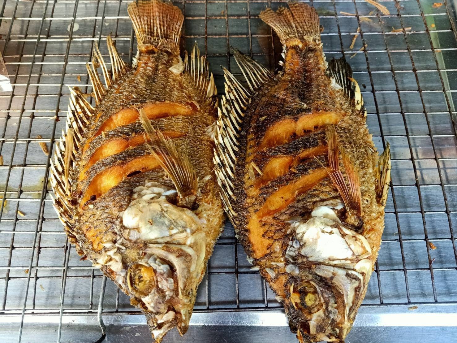 ร้าน ร้านส้มตำปลาดุกย่างไก่ทอดตาจ้อย ซอยกลาง | รีวิวร้านอาหาร