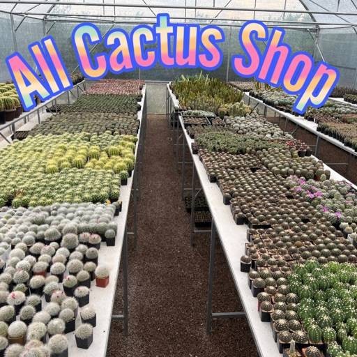 รีวิว ร้านกระบองเพชร Cactus Thonburi All Cactus Shop - ลองใช้ดูก่อนนะคะ