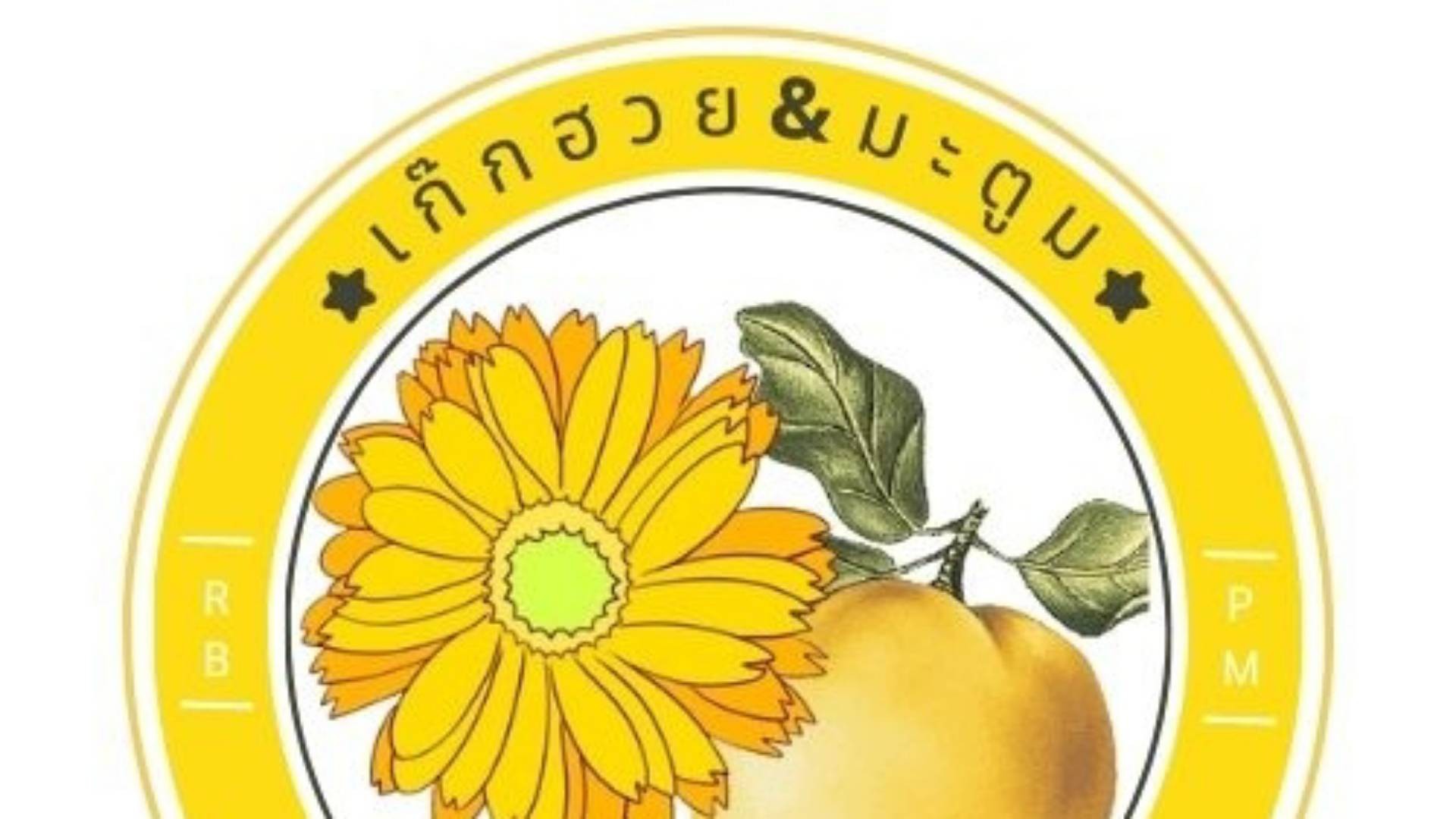 เก๊กฮวยandมะตูม เย็นชื่นใจ๊ กังสดาล สั่งอาหารเดลิเวอรี Wongnai X Line Man