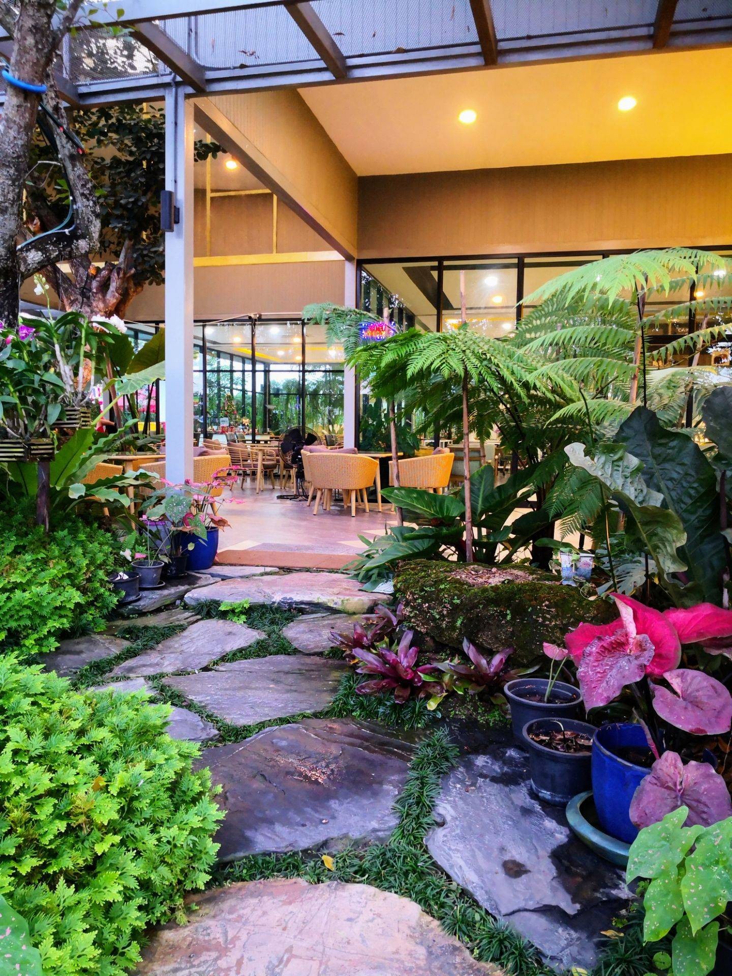 รูป NIYOM is my father องครักษ์ นครนายก